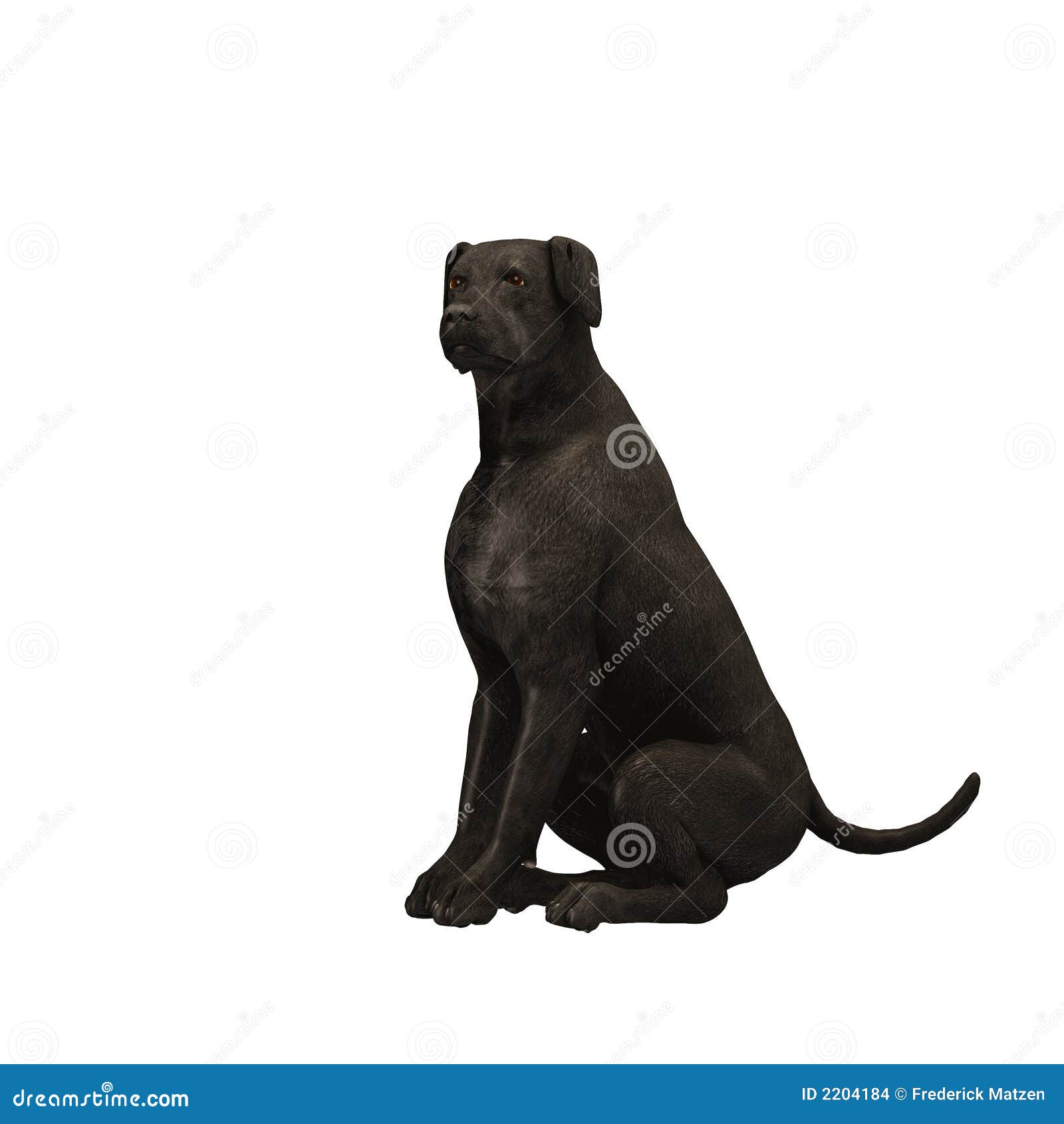 Black Labrador Retriever - 02 Stock Illustration - Illustration of leap ...