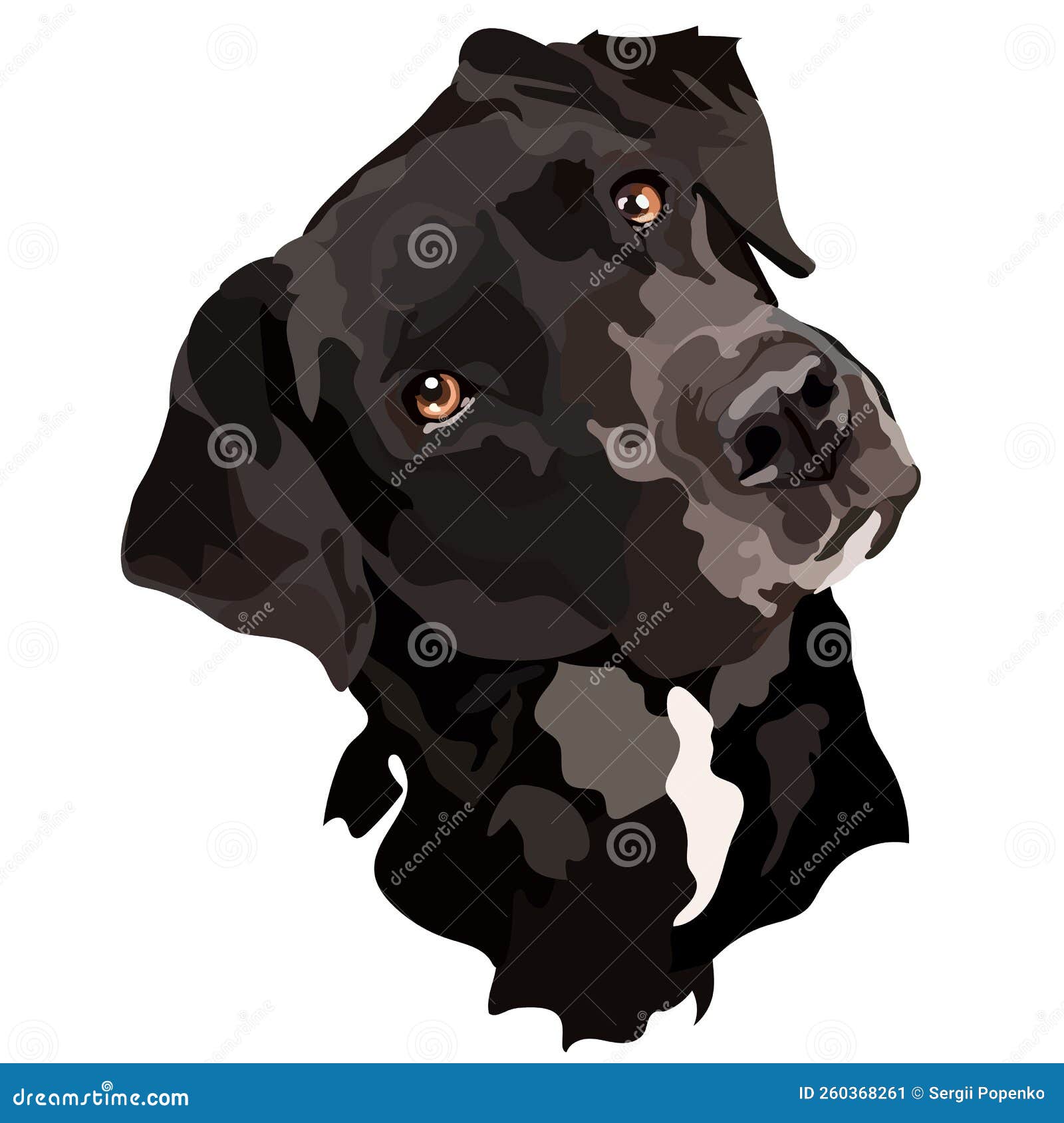 Black Labrador Vector.Portrait of a Dog Stock Vector - Illustration of ...