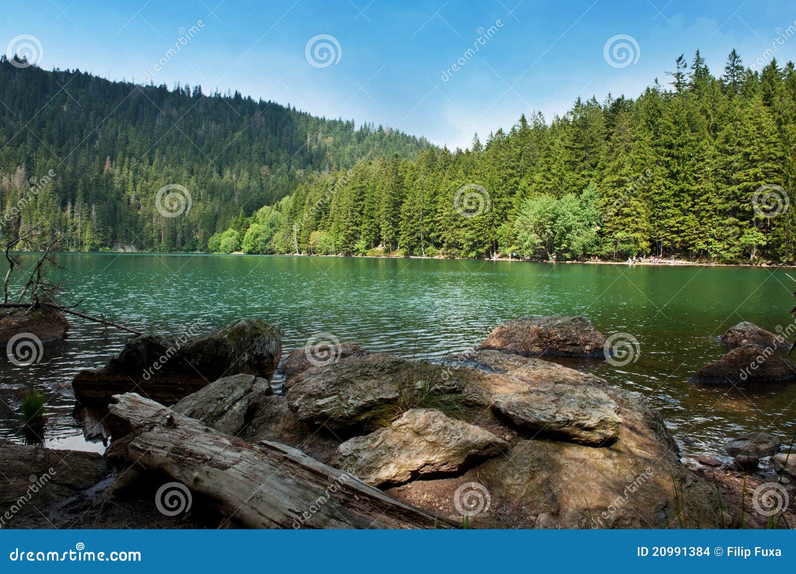 Black Lake stock photo. Image of largest, trees, cerne - 20991384