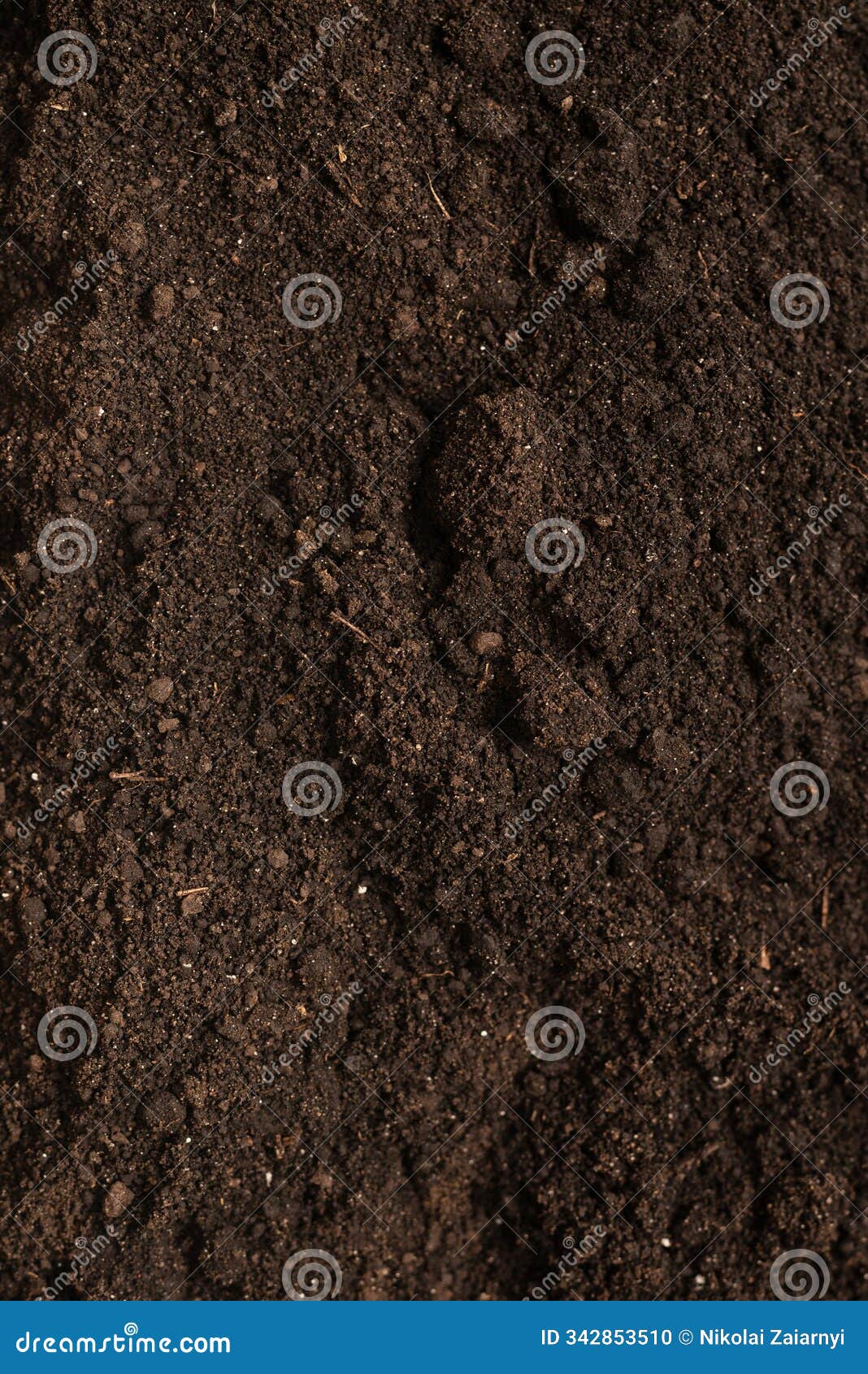 Black Land for Plant Background. Top View Stock Photo - Image of ...