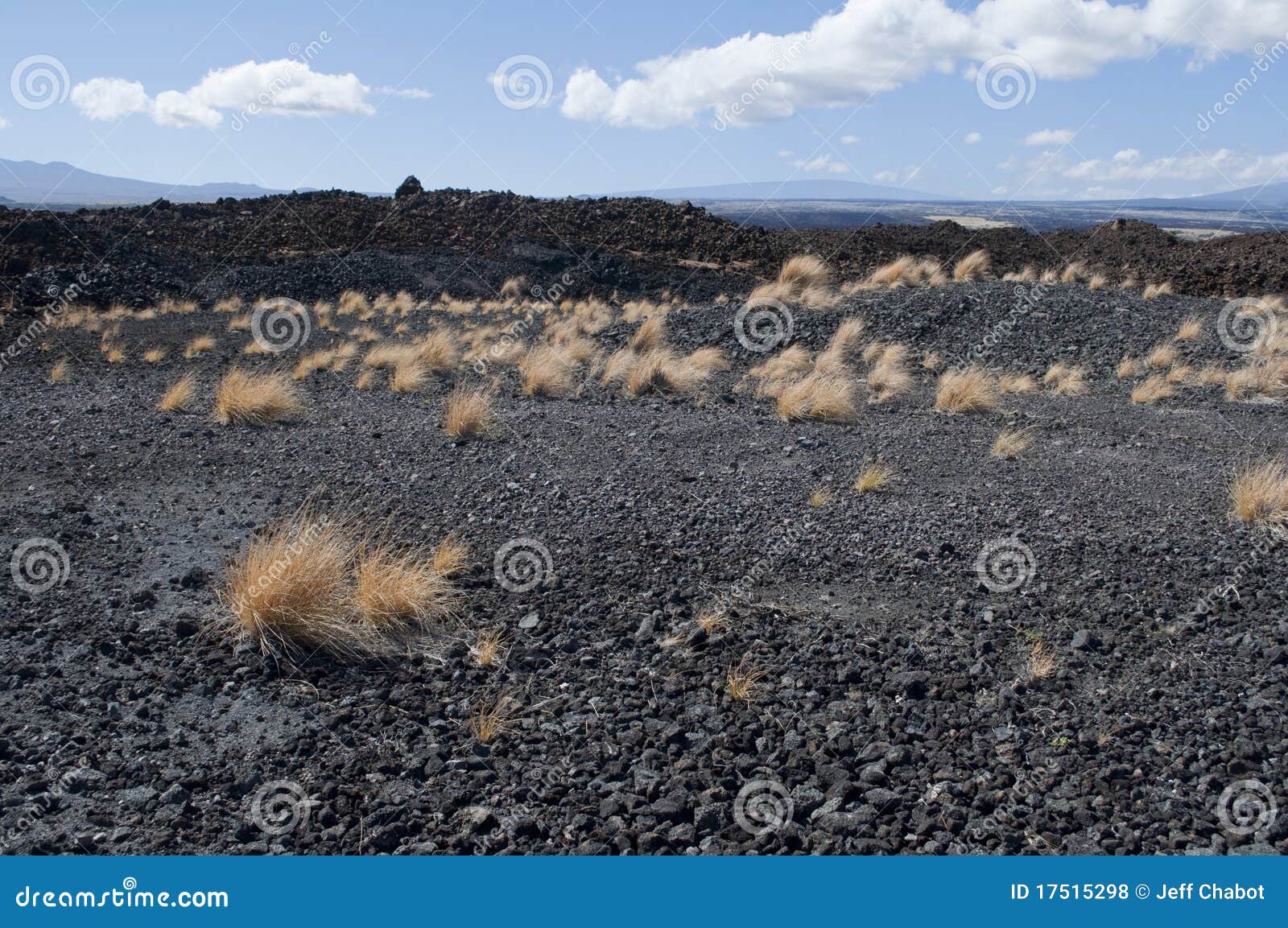 Black Lava Landscape with Grass, Kona, Hawaii Stock Photo - Image of ...