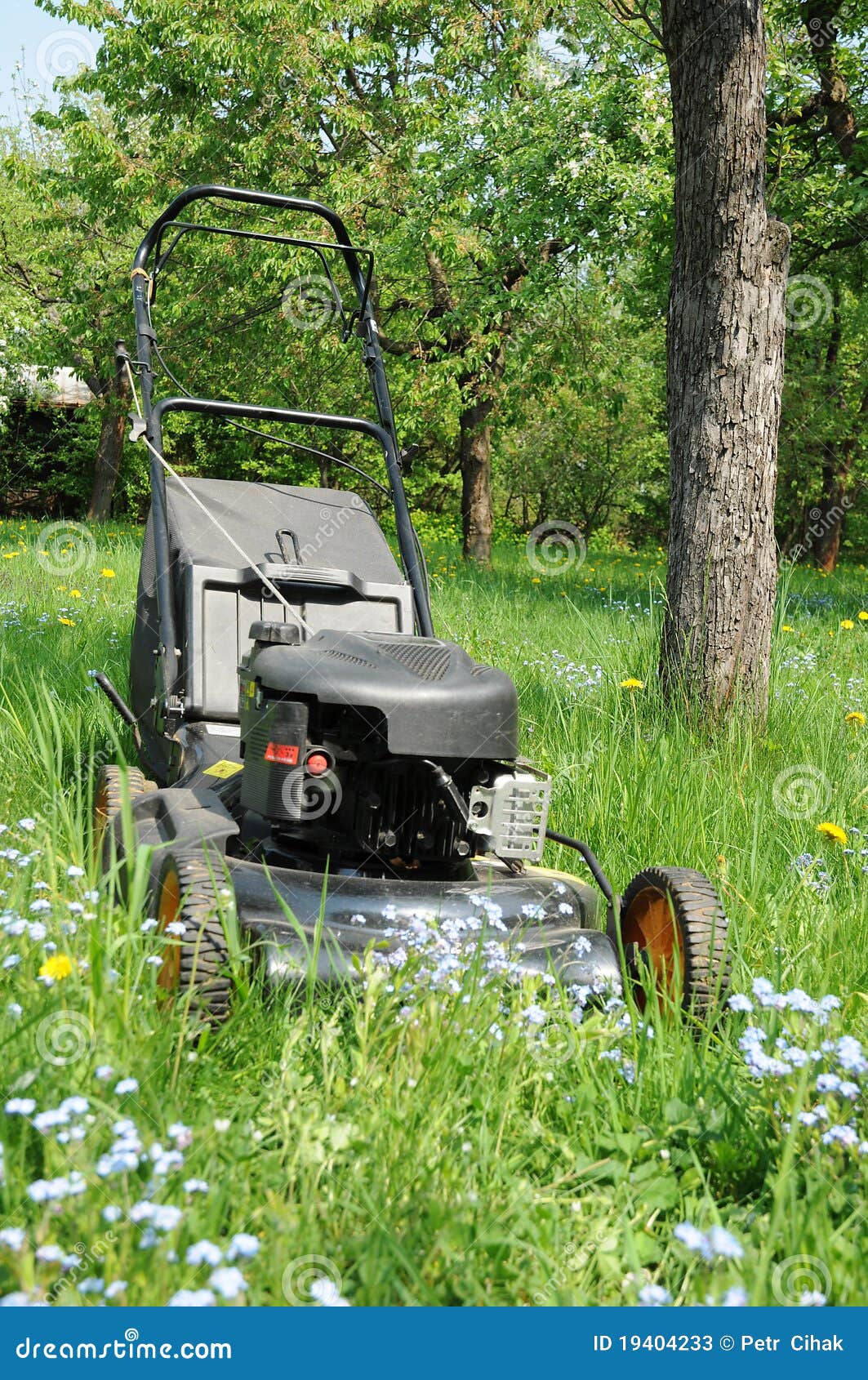 Black Lawn Mower