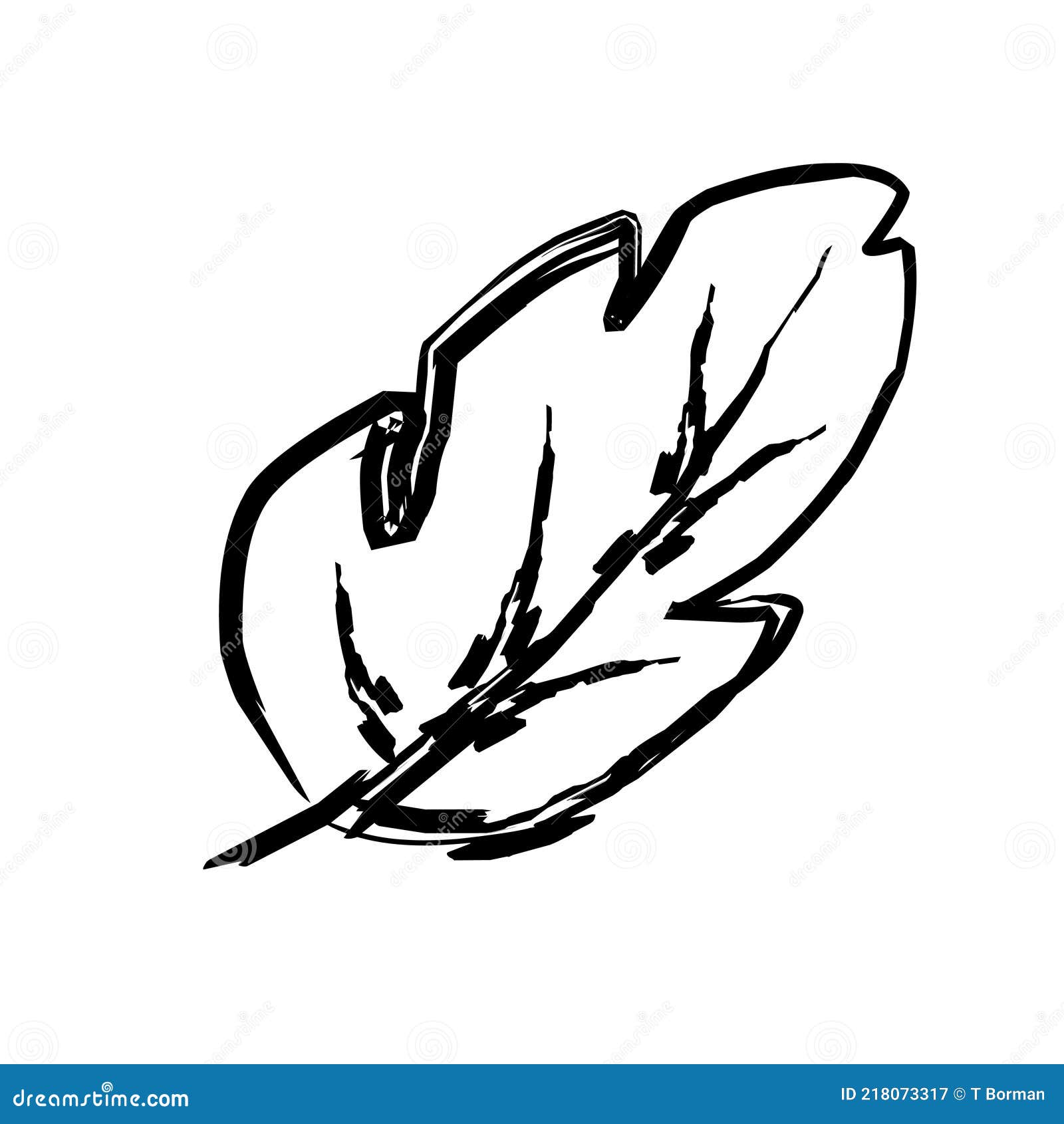 Leaflet Leaf Hand Brush Drawing Minimalistic Isolated Stylized Digital ...