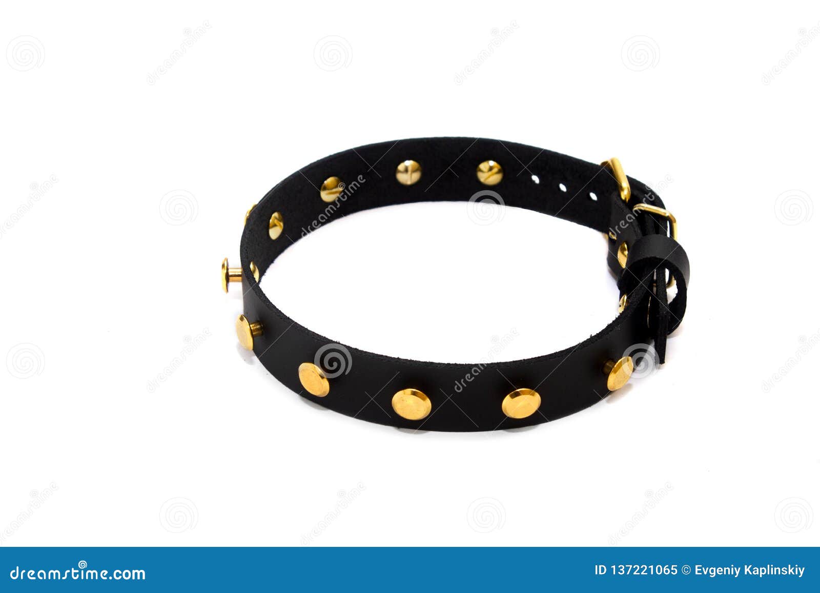Black Leather Collar on a White Background. Stock Image - Image of gold ...