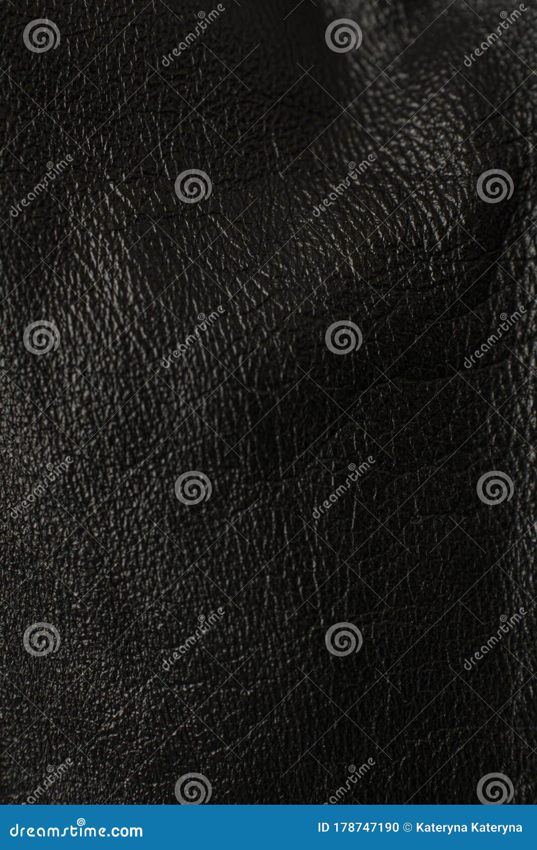 Black Leather Texture with and Metallic Zipper for Clothing Stock Photo ...