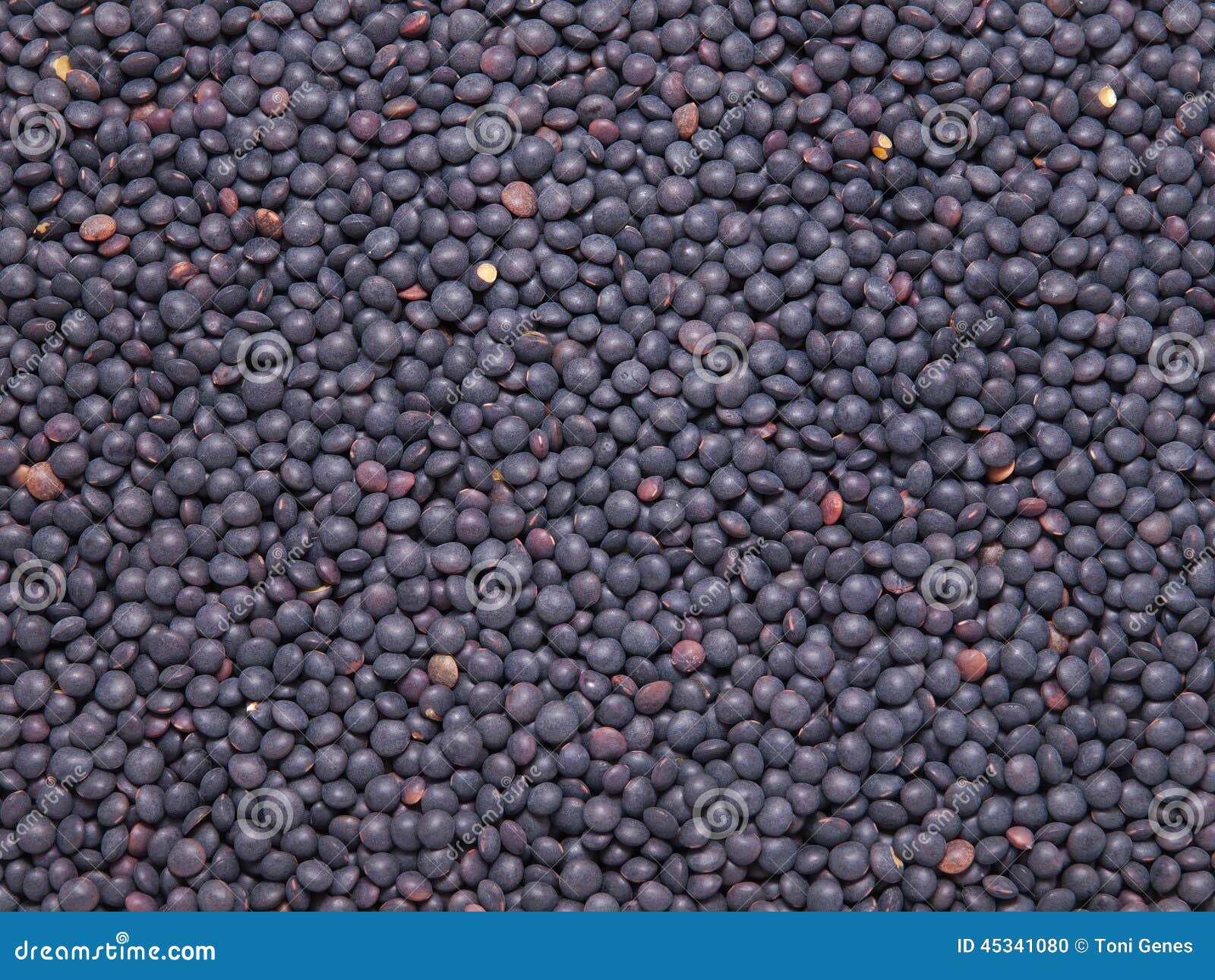 Black lentils stock photo. Image of closeup, black, close - 45341080