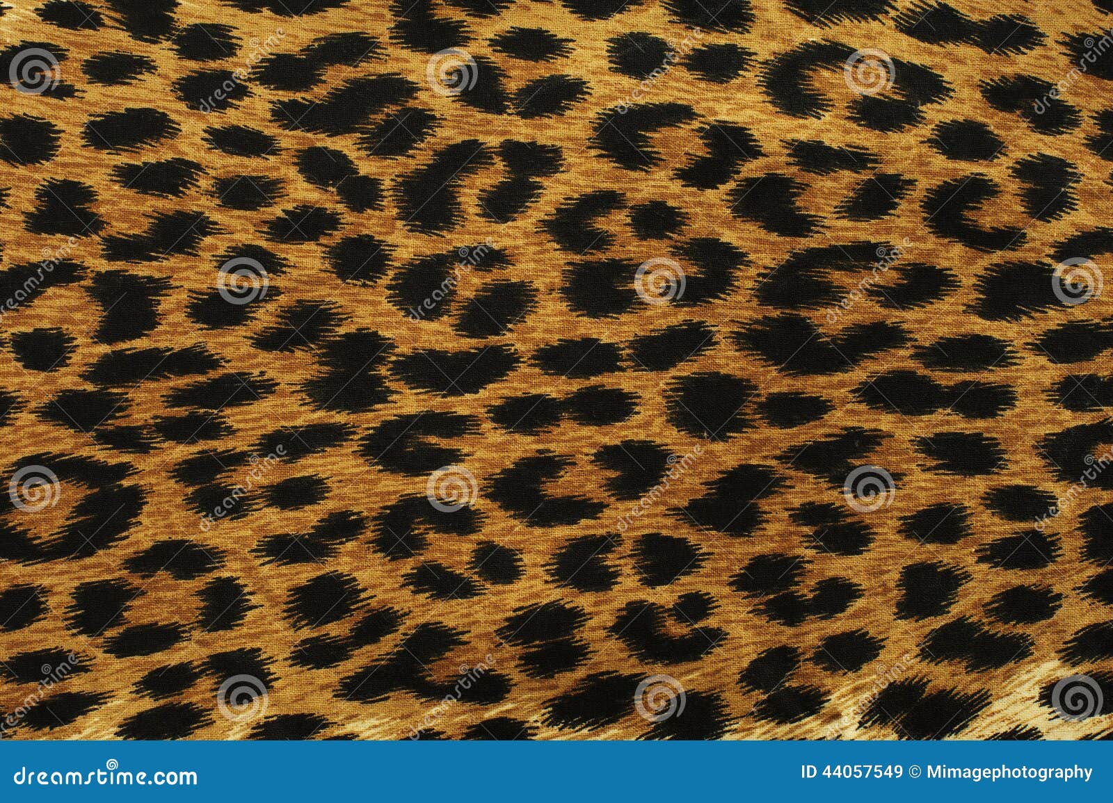 Black leopard spots stock image. Image of closeup, dots - 44057549