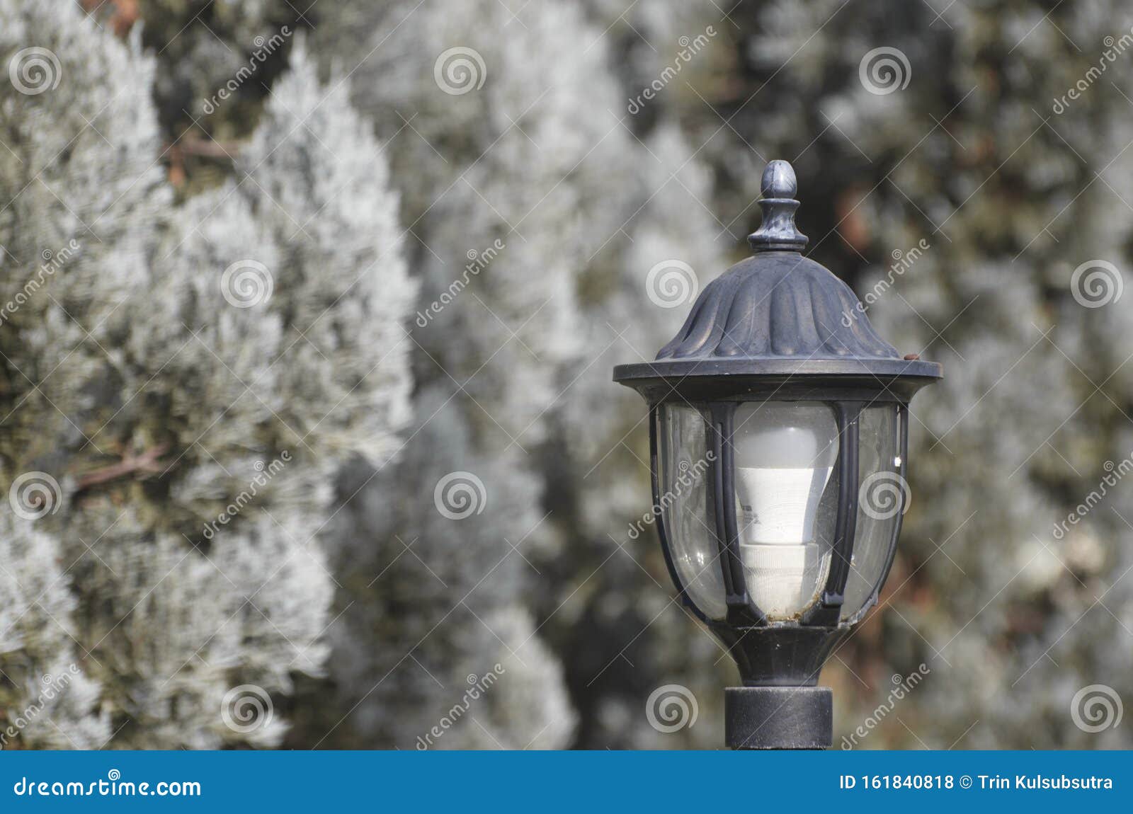 Black Lighting Fixture for Decorating Gardens. Backyard Stock Photo ...
