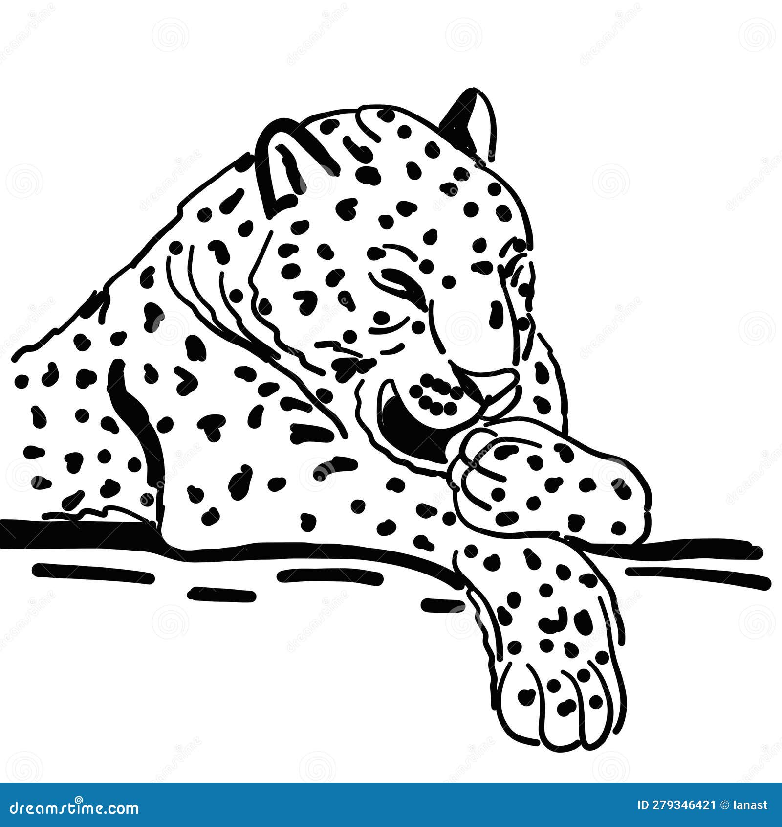Black Lines Drawing of Leopard Stock Image - Illustration of jungle ...