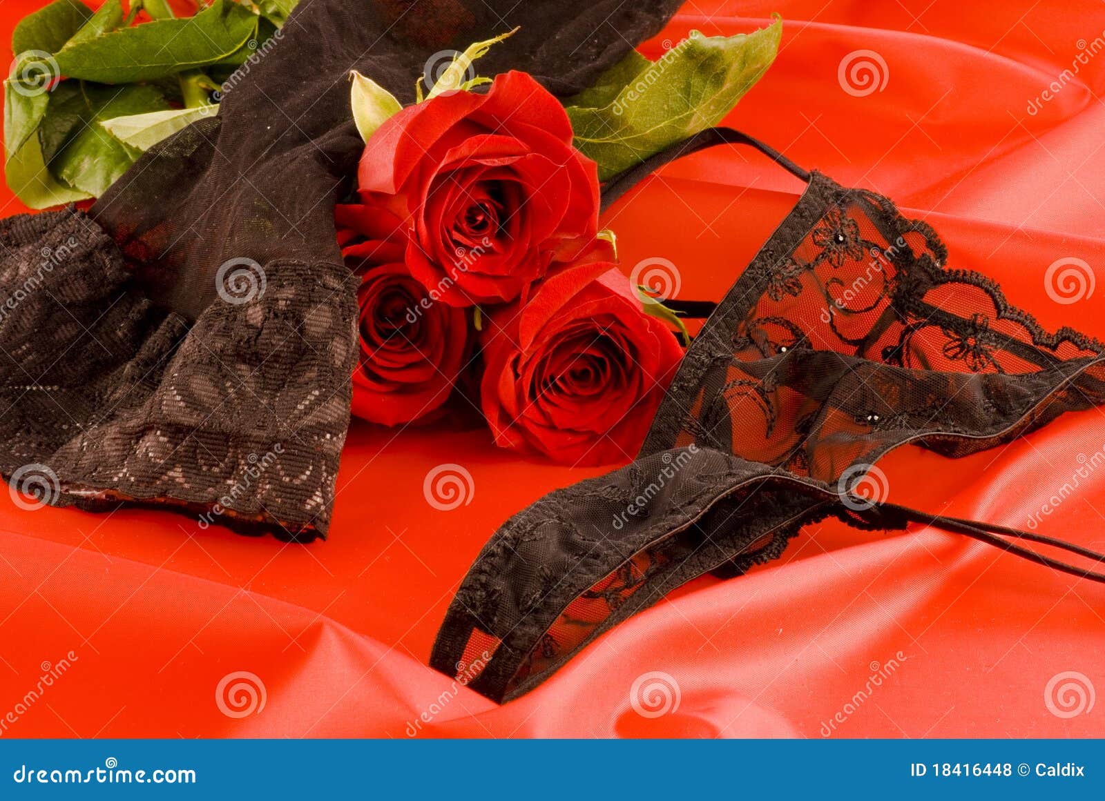 Black Lingerie and Red Roses Stock Photo - Image of femininity ...