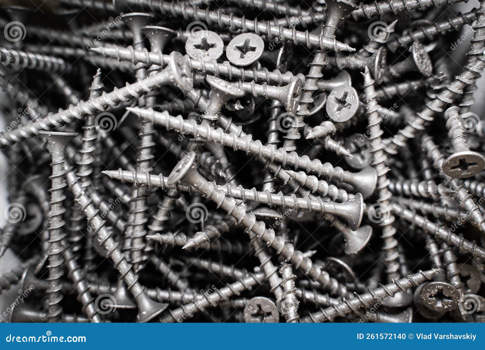 Black Long Self-tapping Screws Close-up in a Box. Wood Screws Stock ...