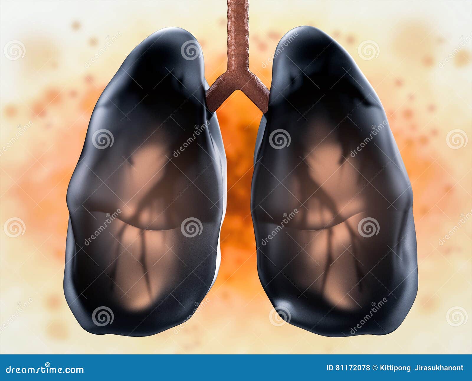 Black lungs stock illustration. Illustration of biology - 81172078