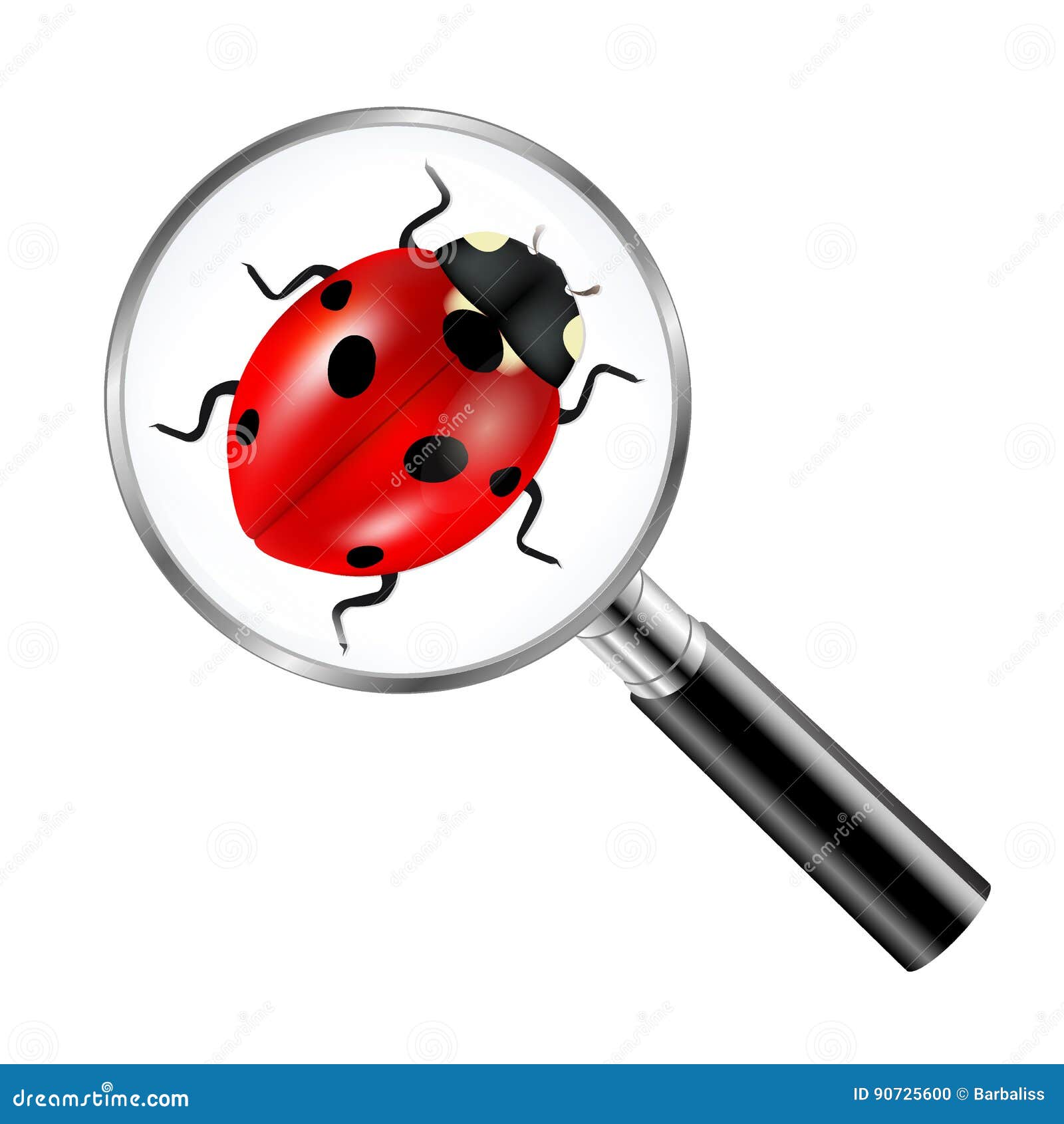 Ladybug And A Magnifying Glass Vector Illustration | CartoonDealer.com ...