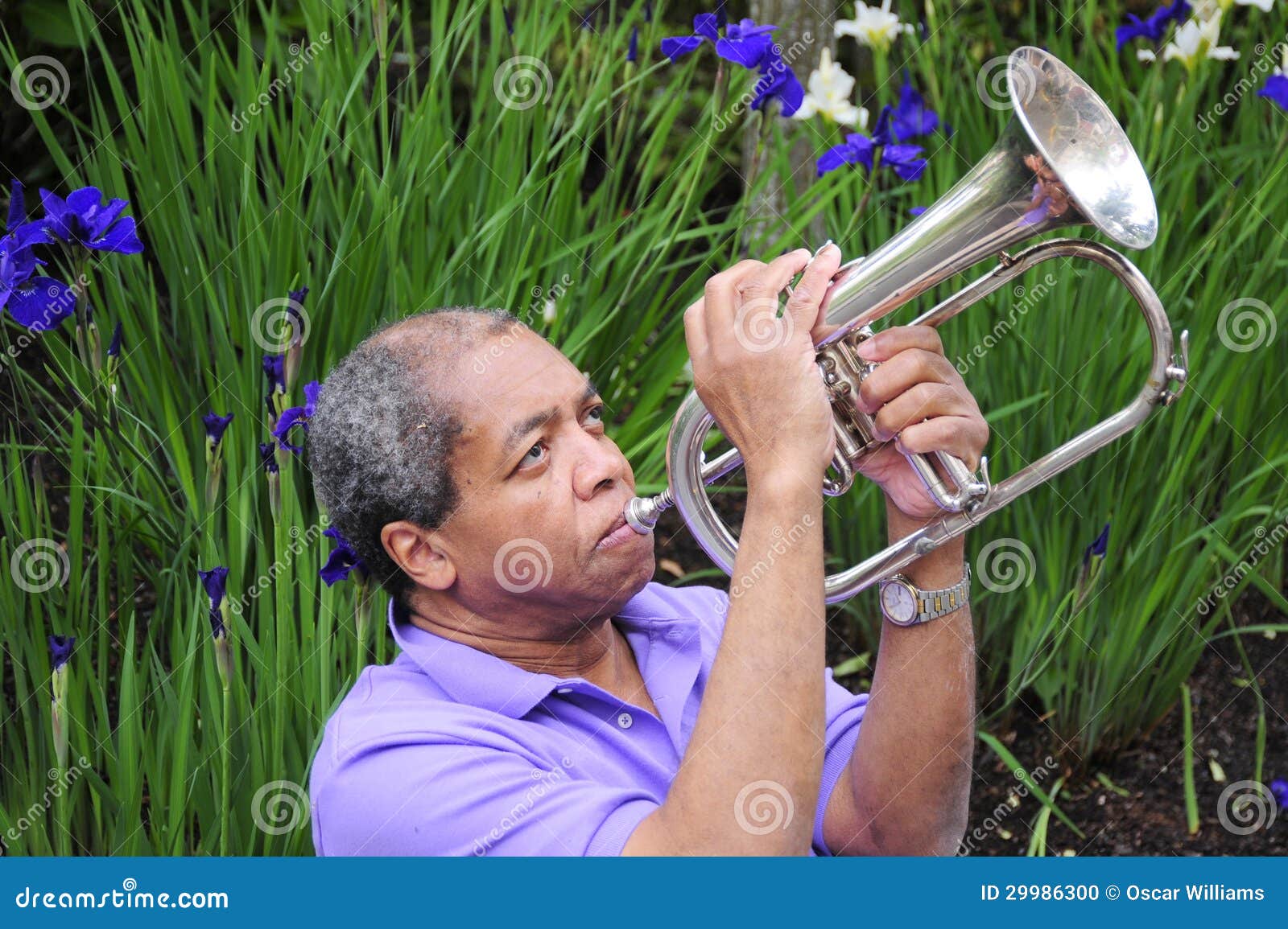 Jazz trumpet player. stock photo. Image of performer - 29986300