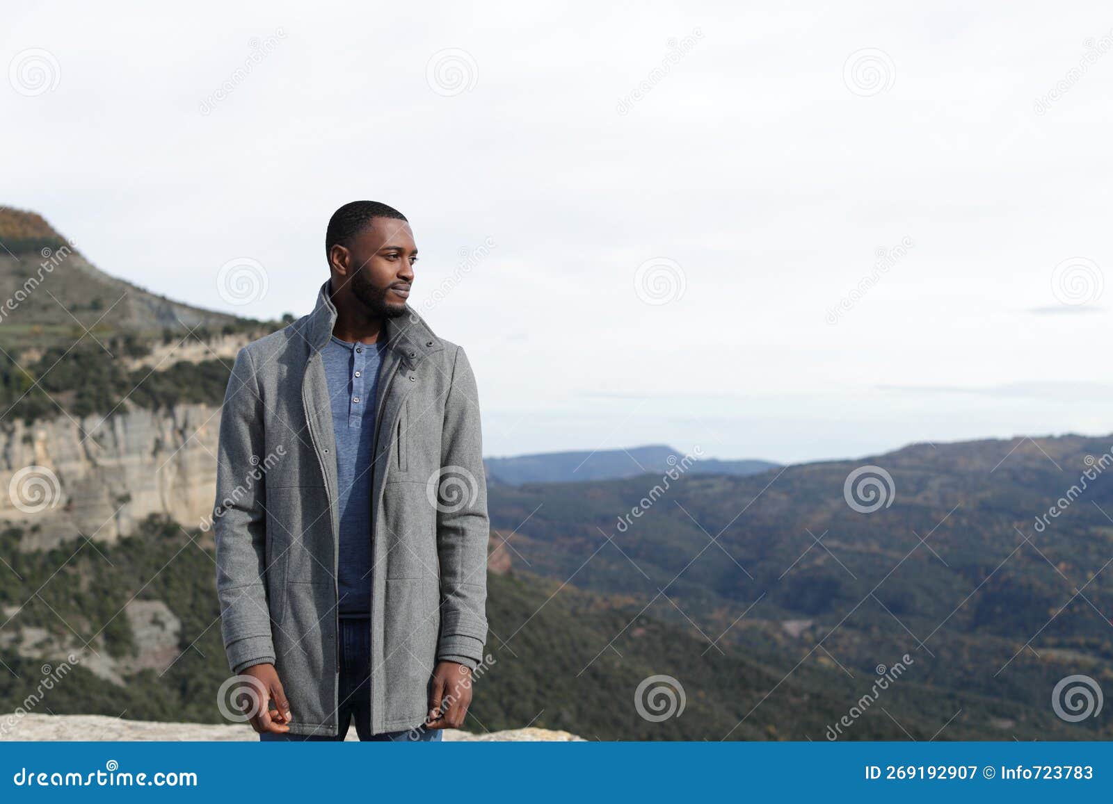 Black Man Contemplating in Winter Stock Image - Image of african, calm ...