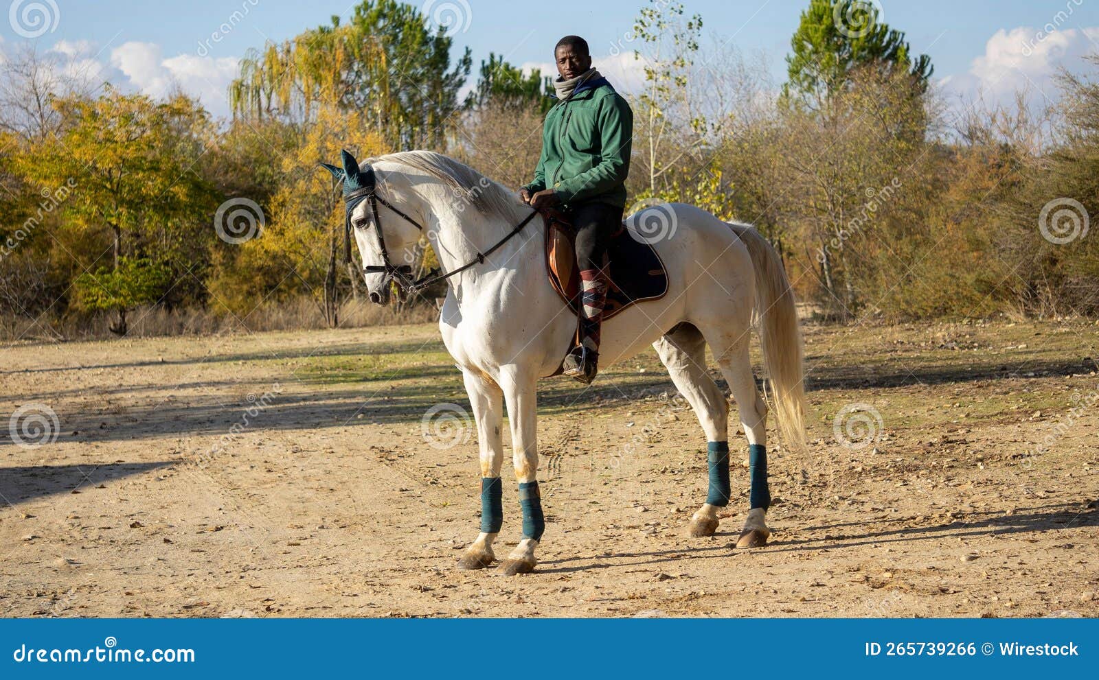 Black Man Riding a White Horse at the Farm. Stock Photo - Image of ...