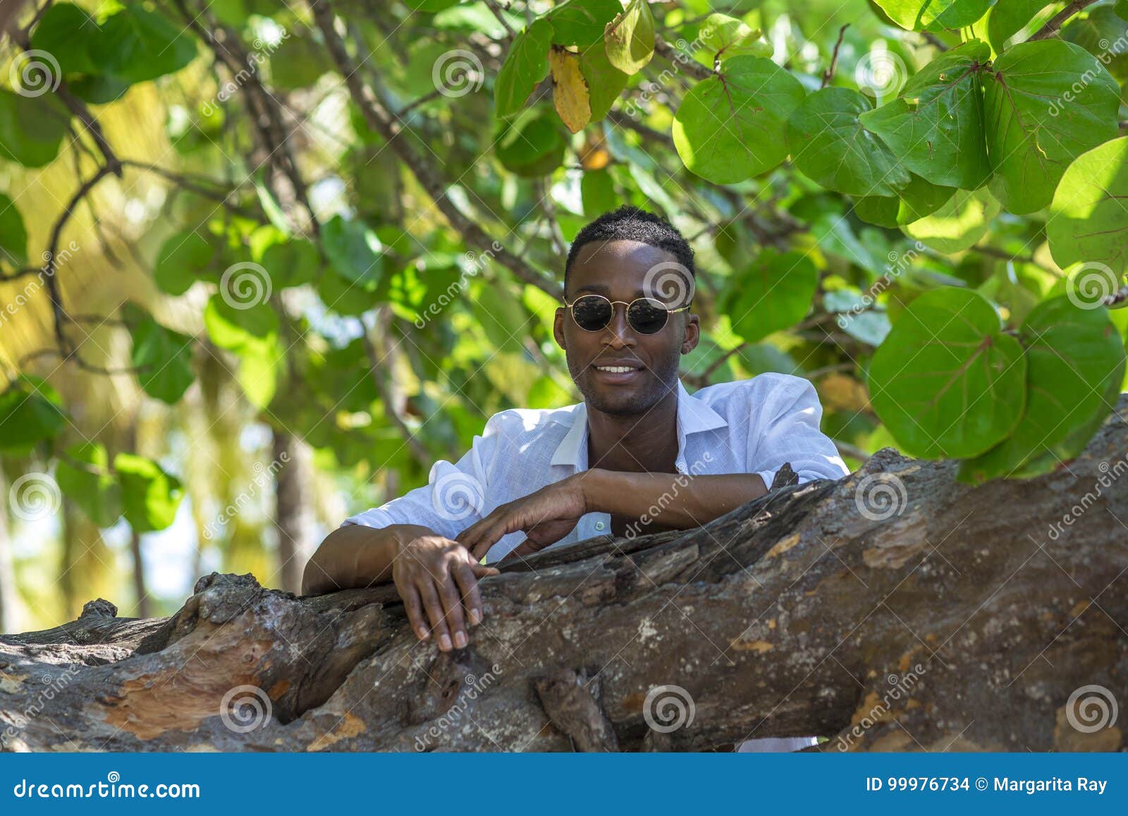 Black man on the tree stock photo. Image of colors, charming - 99976734