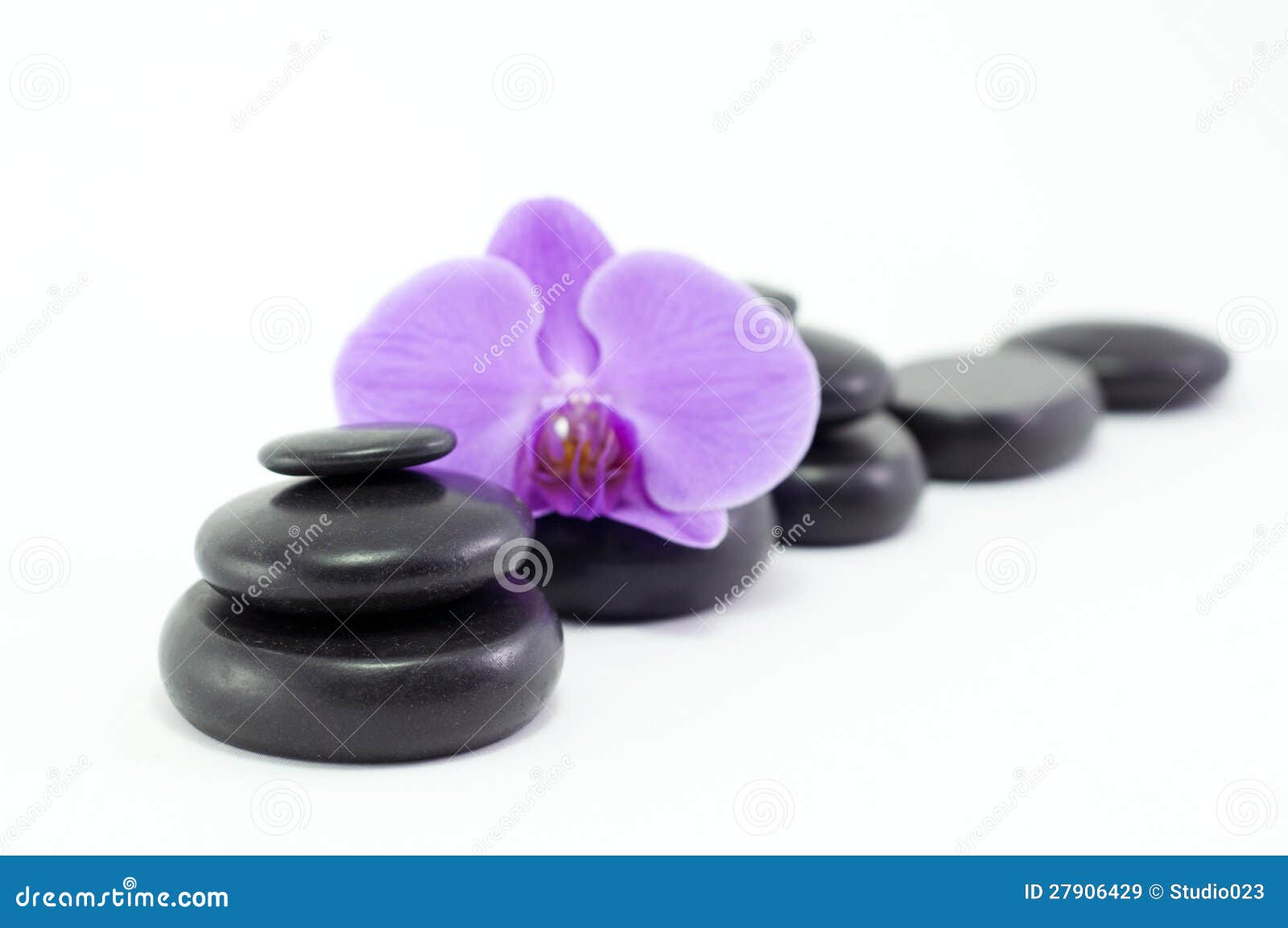 Black Massage Stones With Purple Flower Stock Image Image Of Life Element 27906429