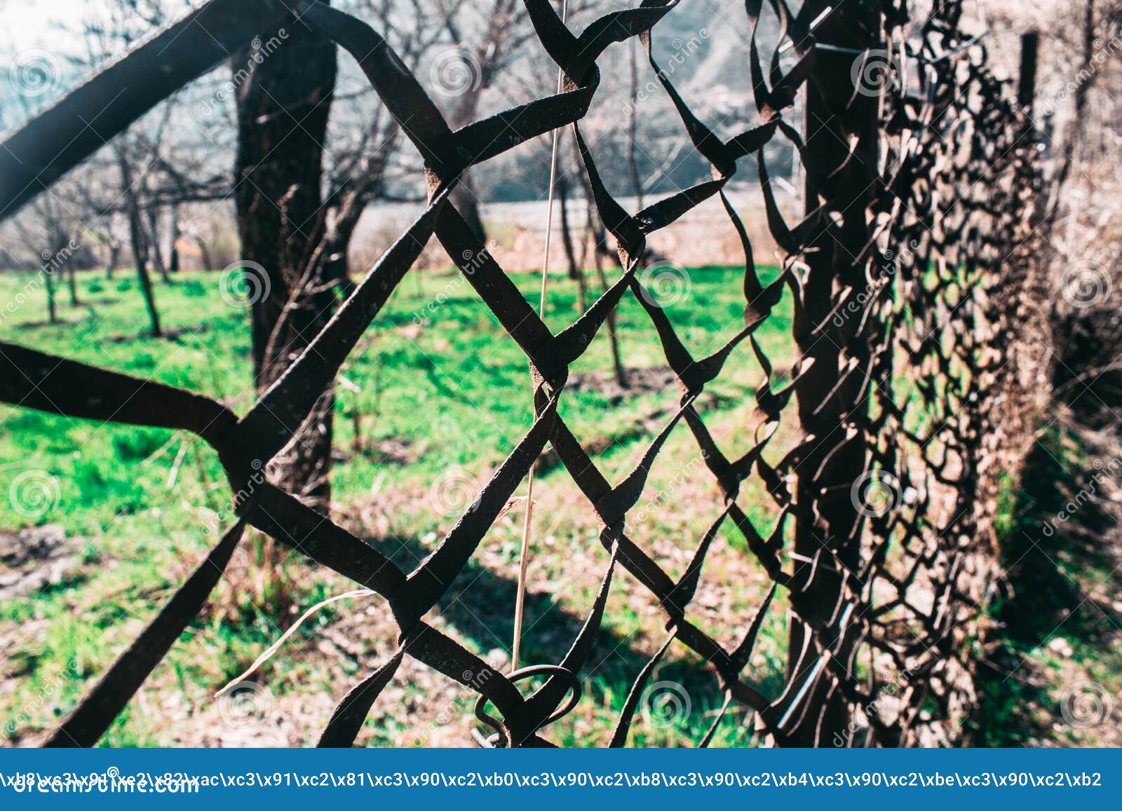 Black Mesh on a Background of Green Grass Stock Image - Image of border ...