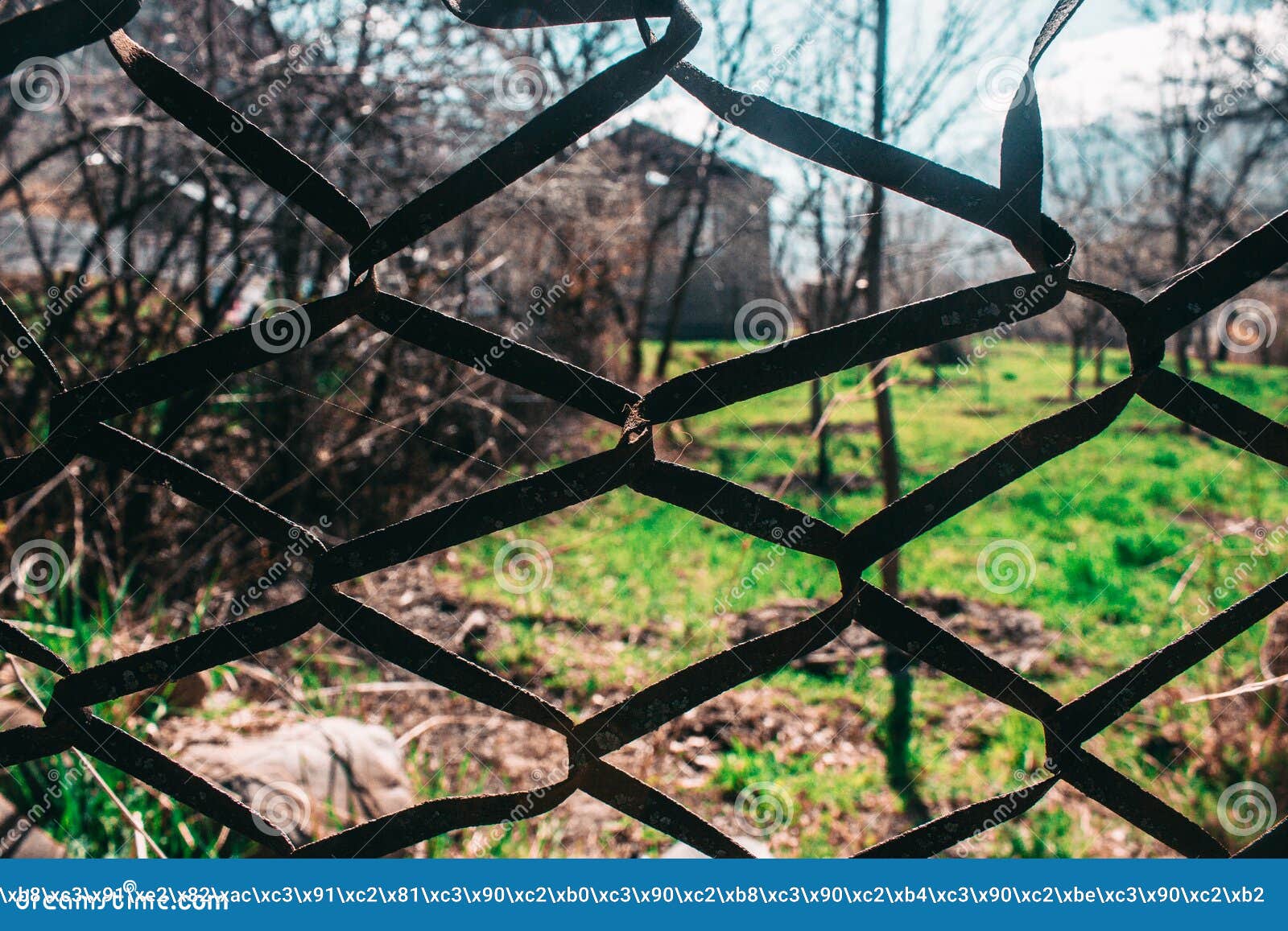 Black Mesh on a Background of Green Grass Stock Photo - Image of ...