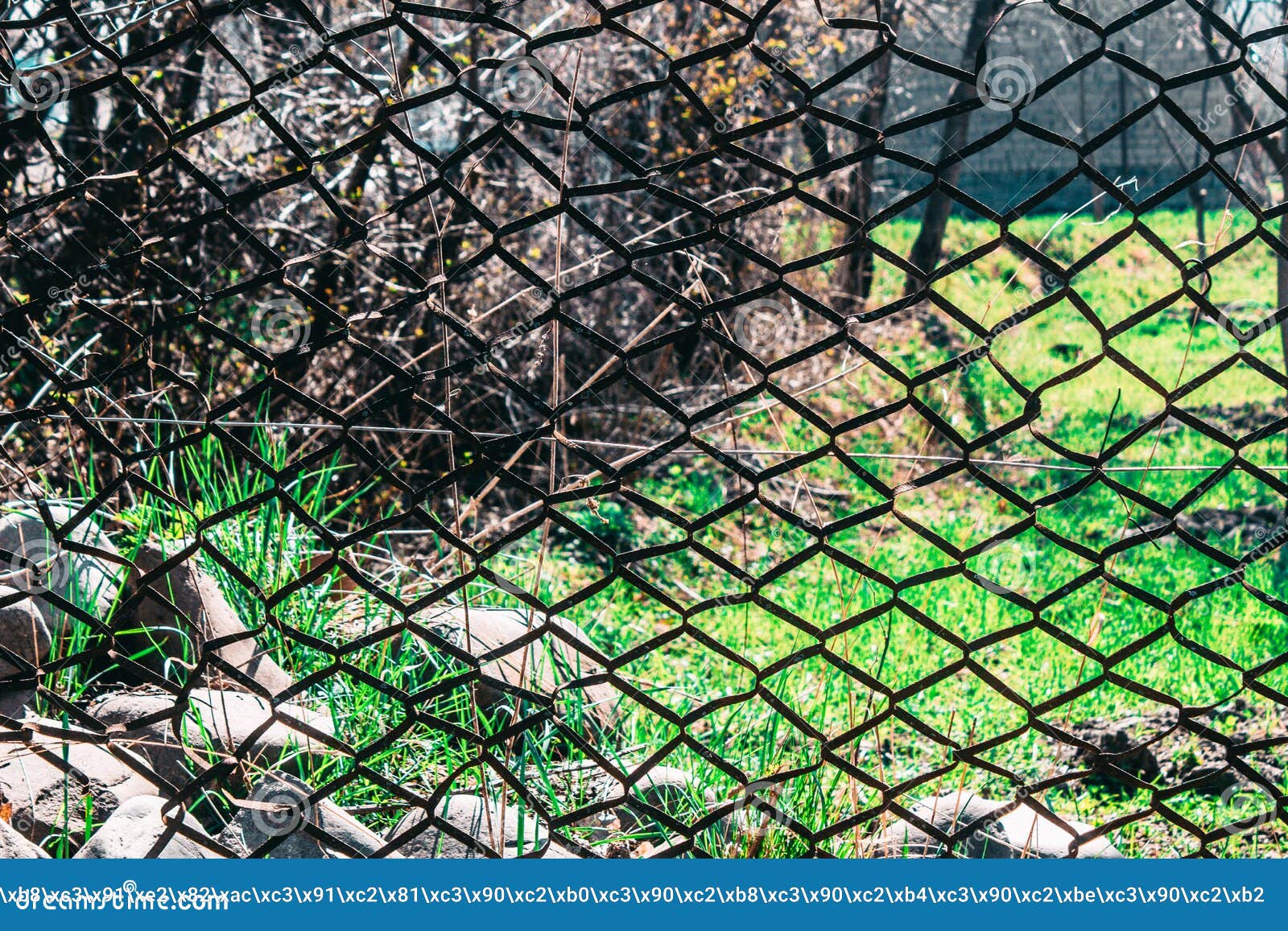 Black Mesh on a Background of Green Grass Stock Image - Image of black ...