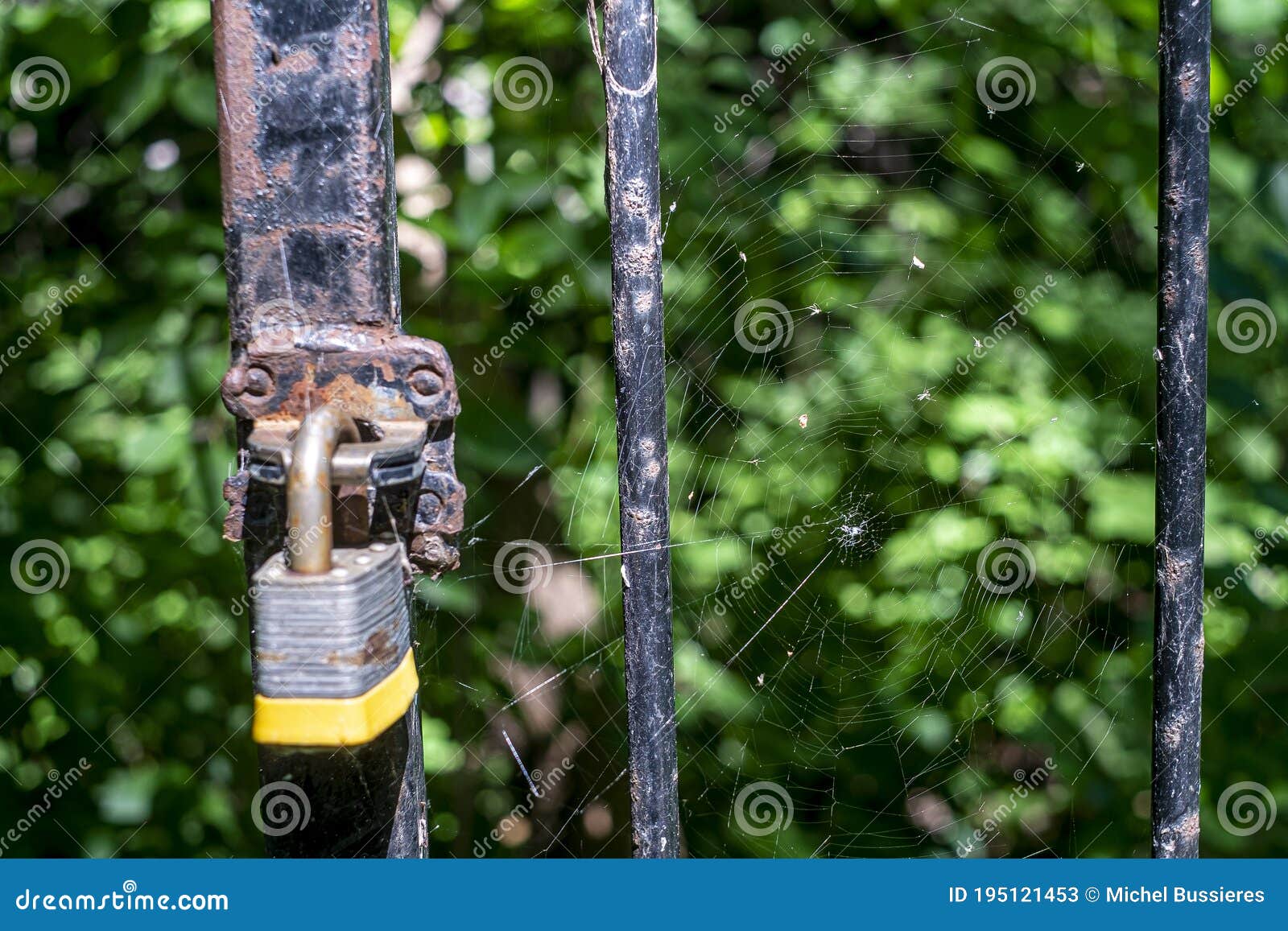 Black Metal Fence with a Lock and Spider Web Stock Image - Image of ...