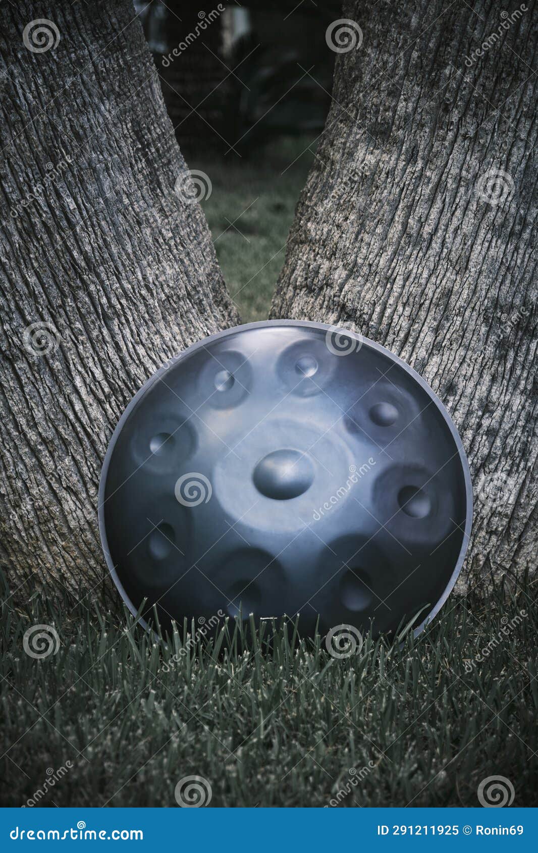 The handpan by the tree stock image. Image of musical - 291211925