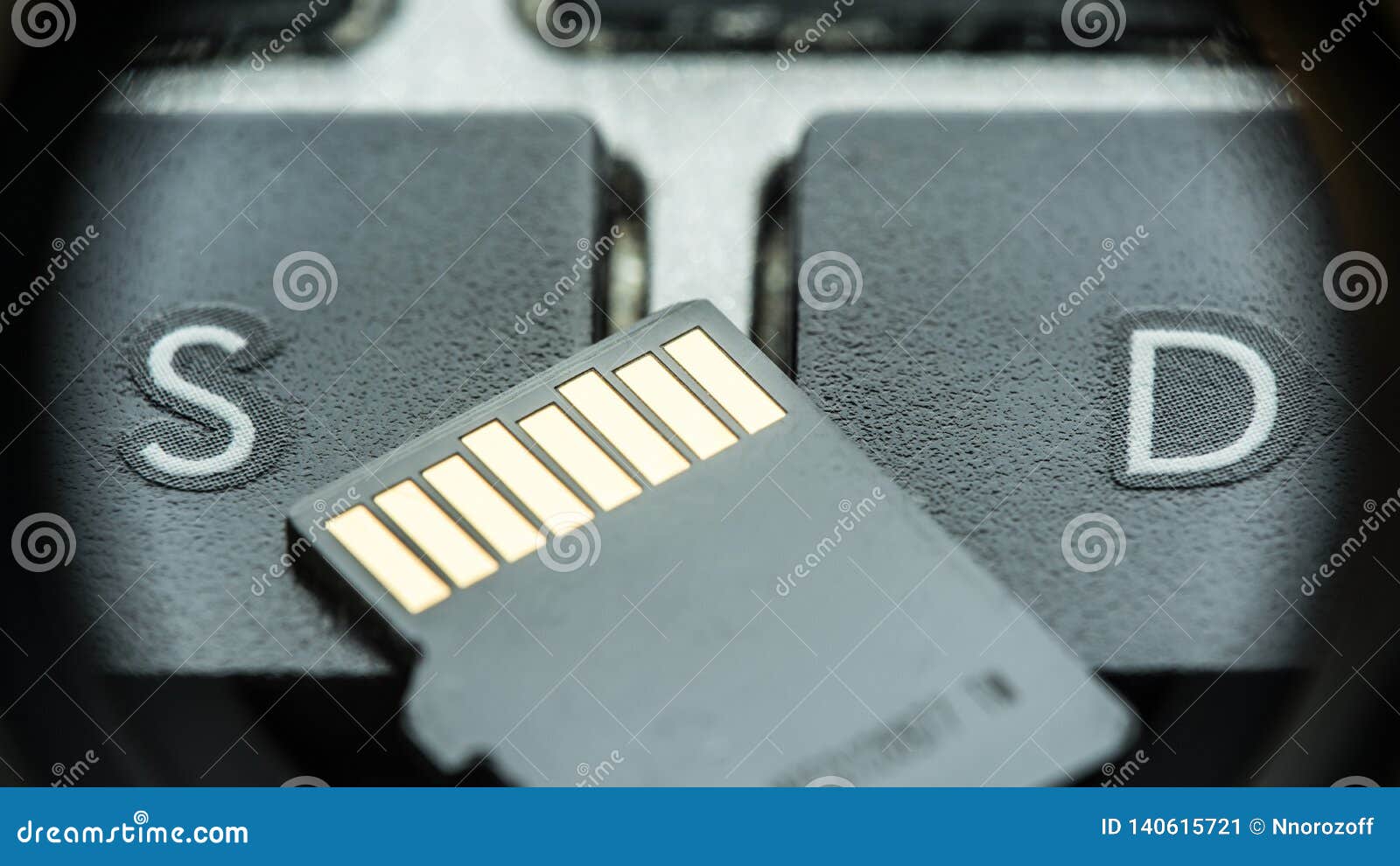 Black Micro Sd Card with Gold Contacts on the Key with the Letter S and ...