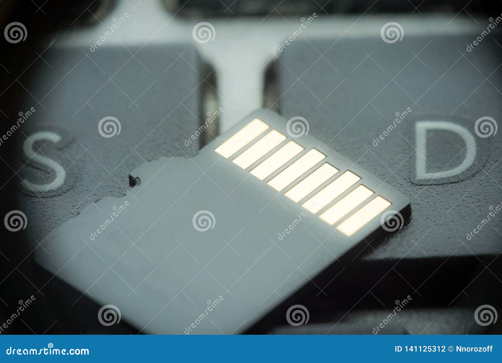 Black Micro Sd Card with Gold Contacts on the Key with the Letter S and ...