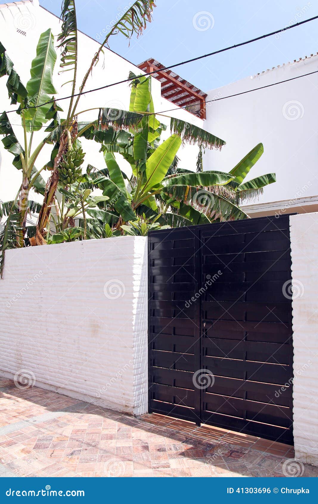 Black Modern Gate and Banana Tree Stock Photo - Image of iron ...