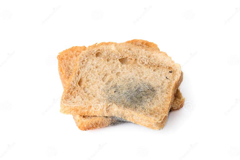 Black mold on a bread stock image. Image of baked, unhygienic - 60096569