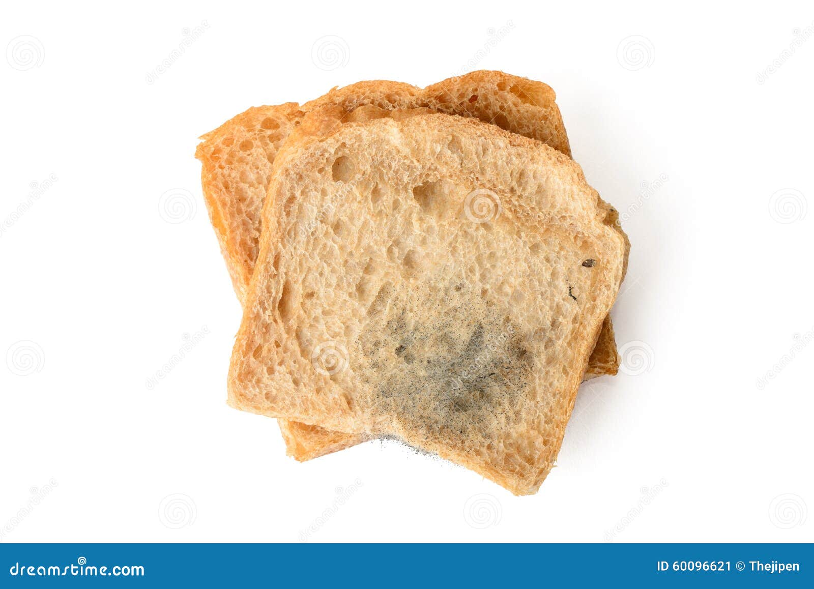 Black mold on a bread stock image. Image of macro, slice - 60096621