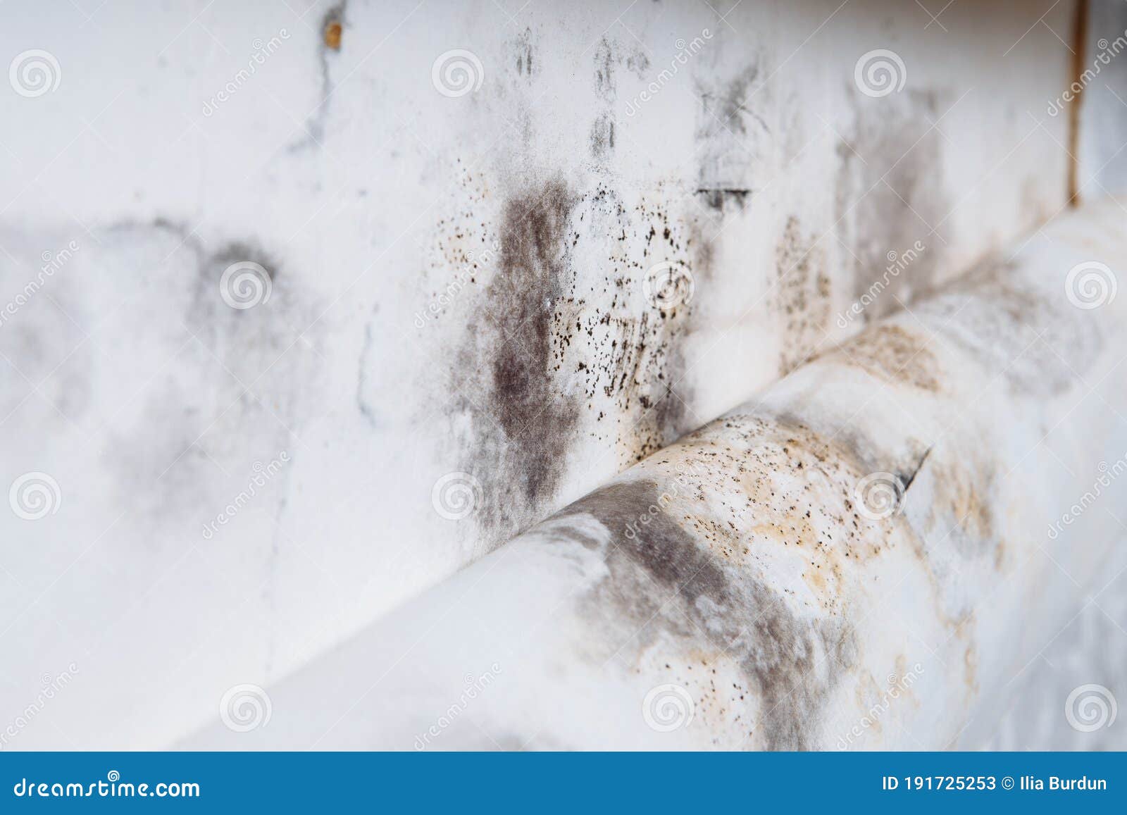 Black Mold Buildup in the Corner of an Old House. Development of Mildew ...