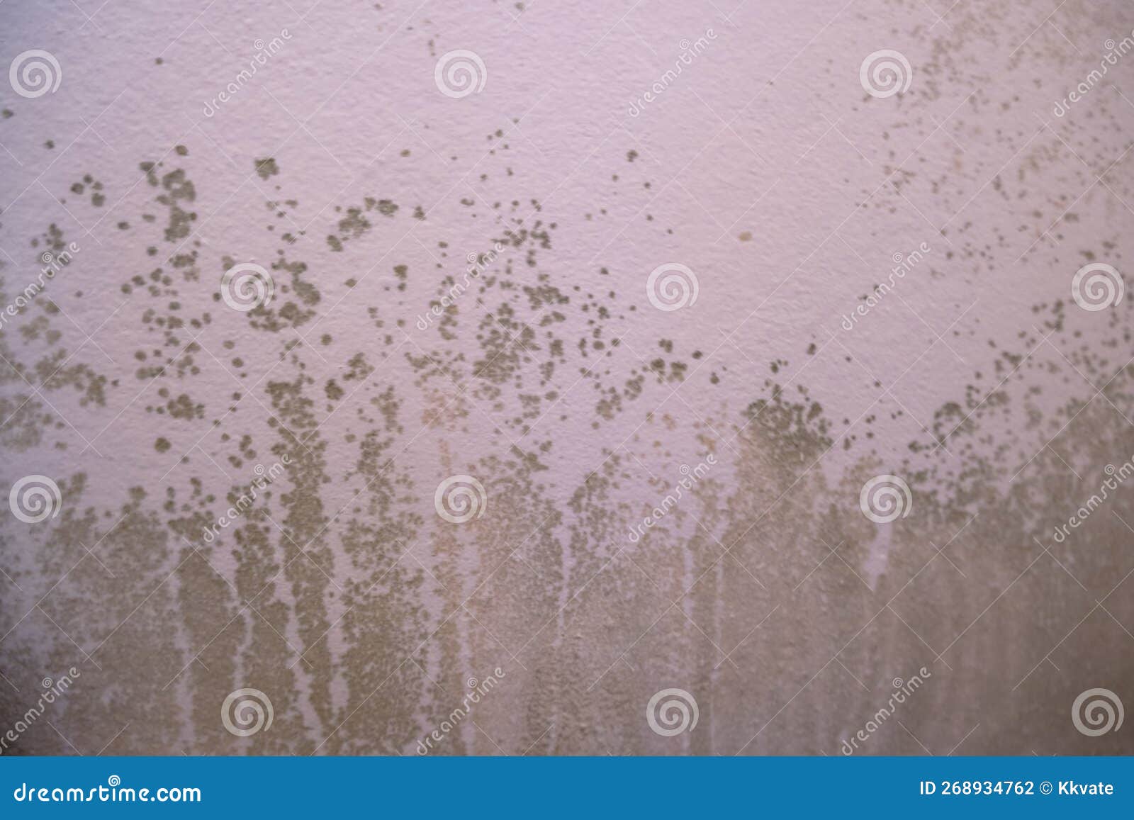 Black Mold in the Corner of the White Ceiling. Macro Mildew in the ...