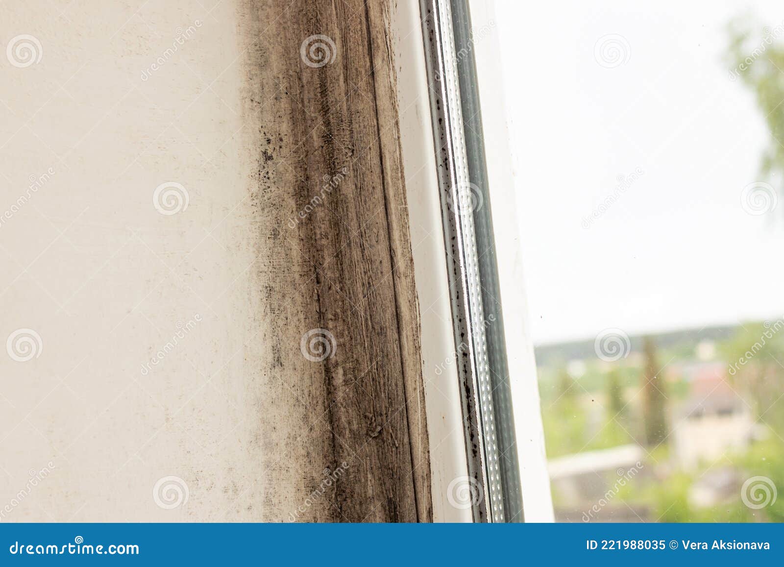 Black Mold on the Window Frame Closeup Stock Image - Image of black ...