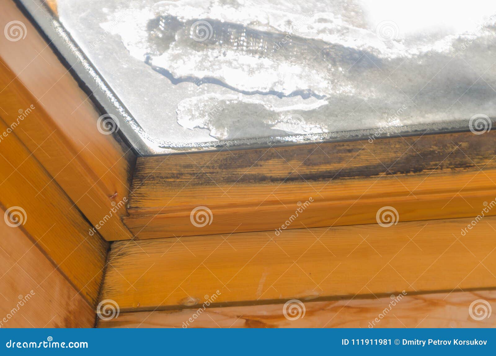 After Leaking the Window, Black Mold on the Frame Stock Image - Image ...