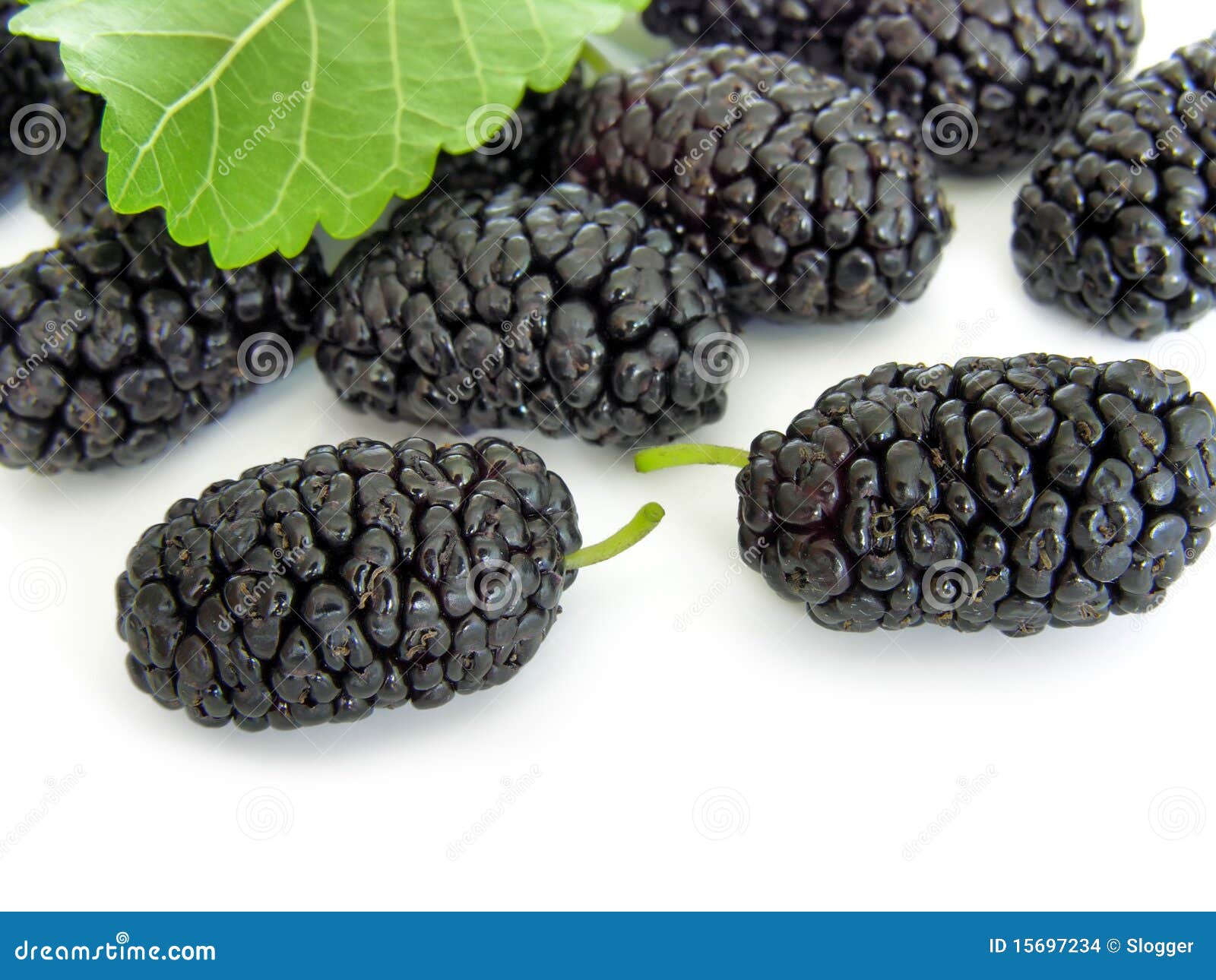 Black mulberry stock photo. Image of vegetarian, ripe - 15697234
