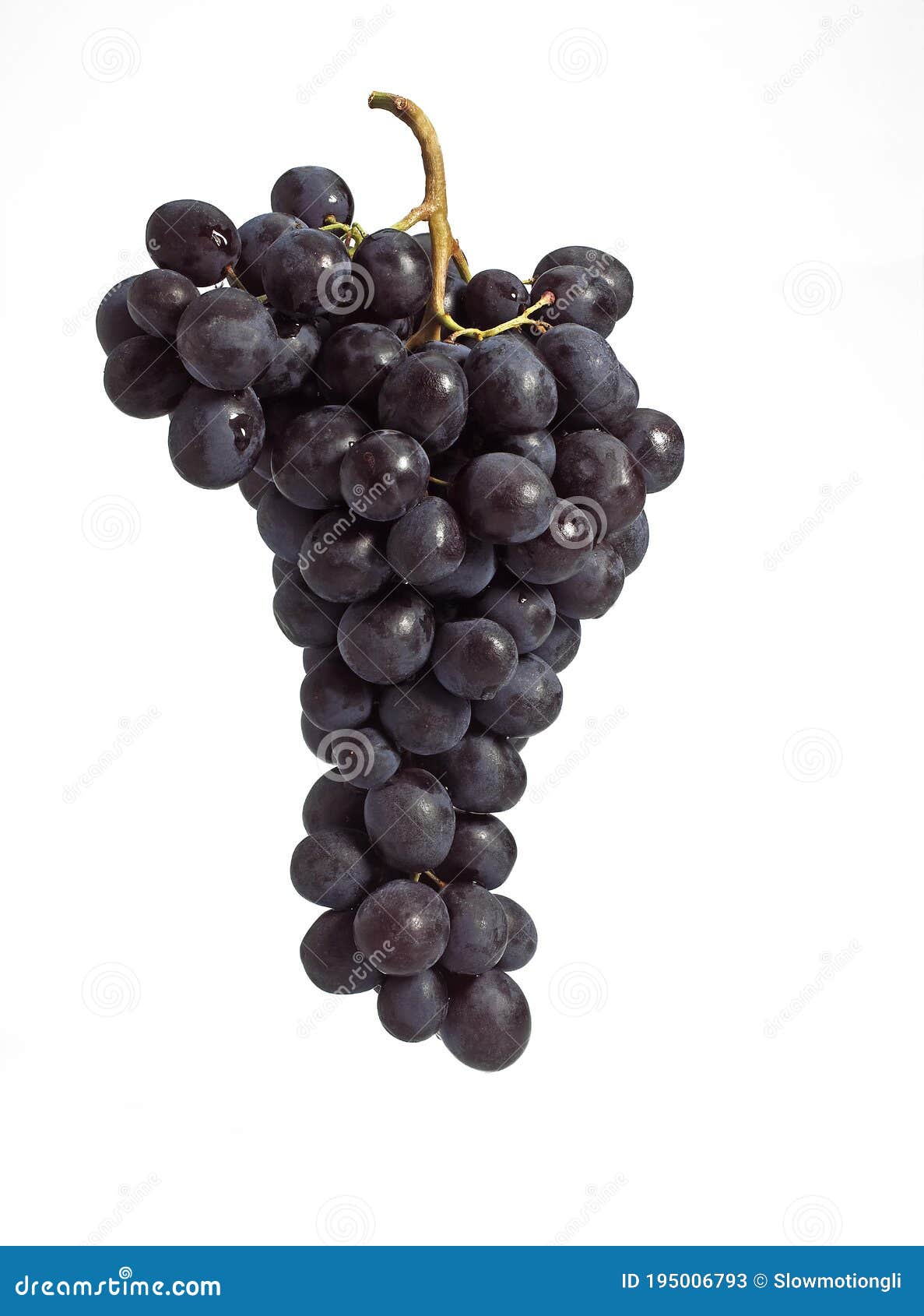 Muscat Grape Royalty-Free Stock Photography | CartoonDealer.com #34456667