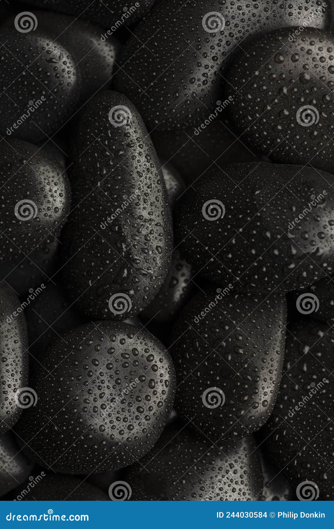 Black Natural Stones Covered in Rain Drops Showing Textures and ...