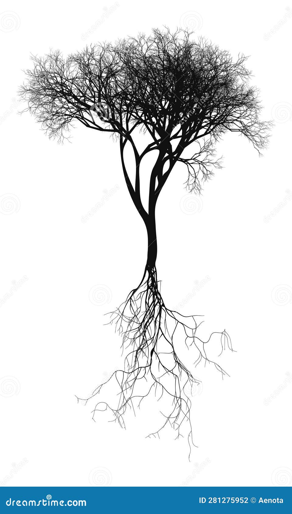 Black Naturalistic Bare Tree with Root System - Vector Illustration ...