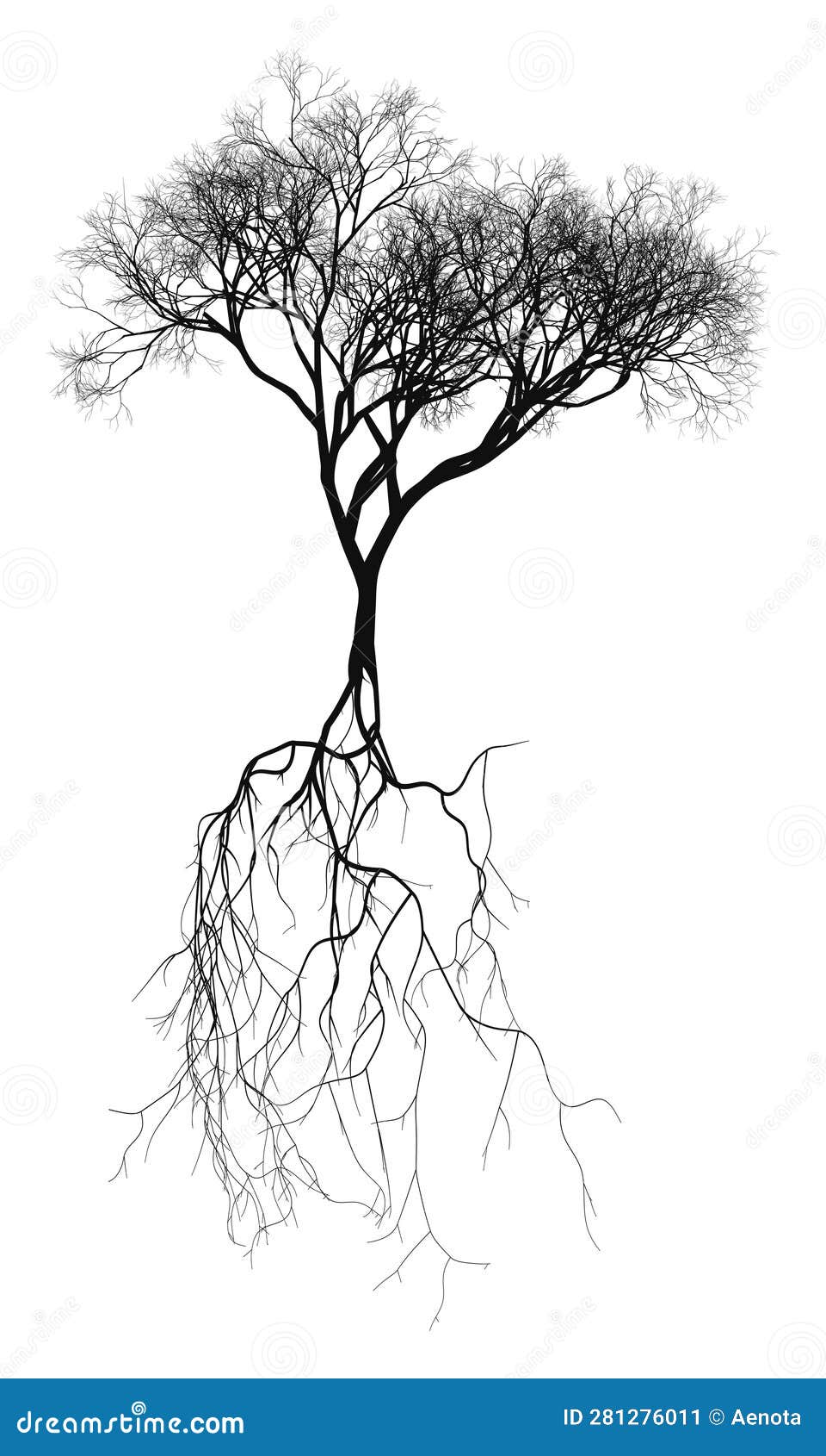 Black Naturalistic Bare Tree with Root System - Vector Illustration ...