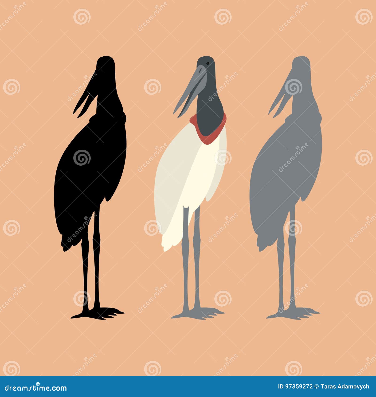 Black -necked Stork Vector Illustration Style Stock Vector ...