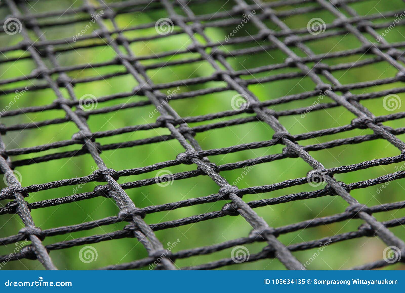 Black net stock image. Image of macro, blue, black, garden - 105634135