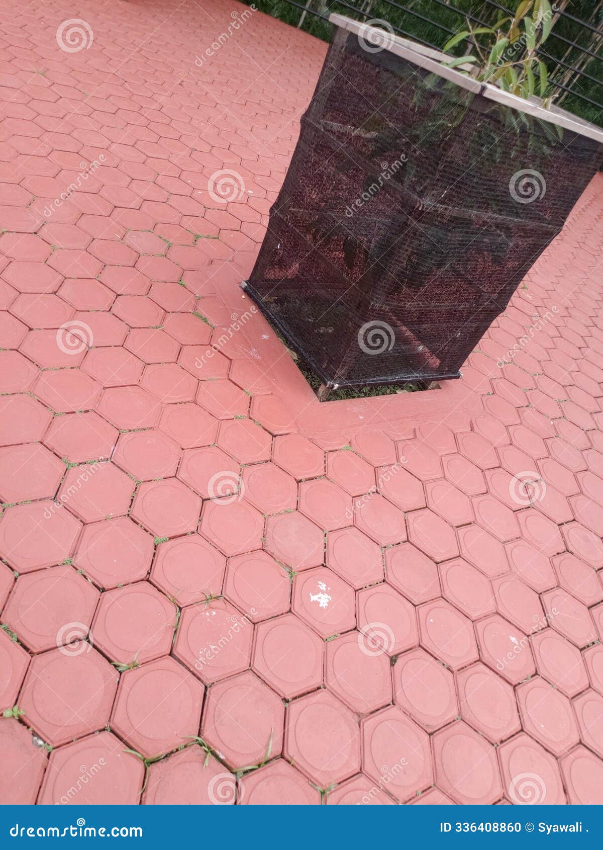 Black Net Covering Over a Plant on Hexagon Shaped Pavement Stock Photo ...
