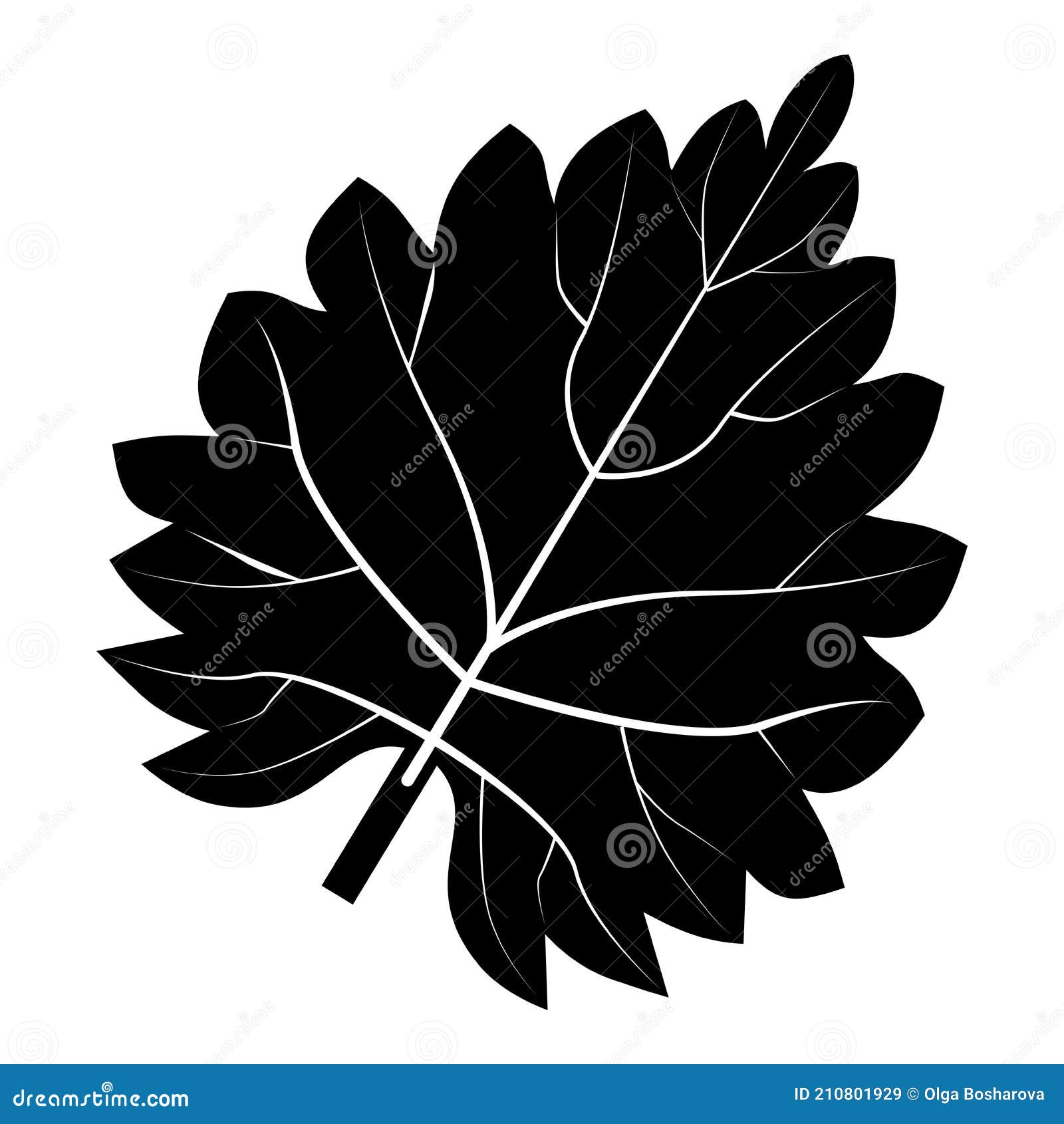 Black Nettle Leaf Logo with Rounded Leaves Stock Vector - Illustration ...