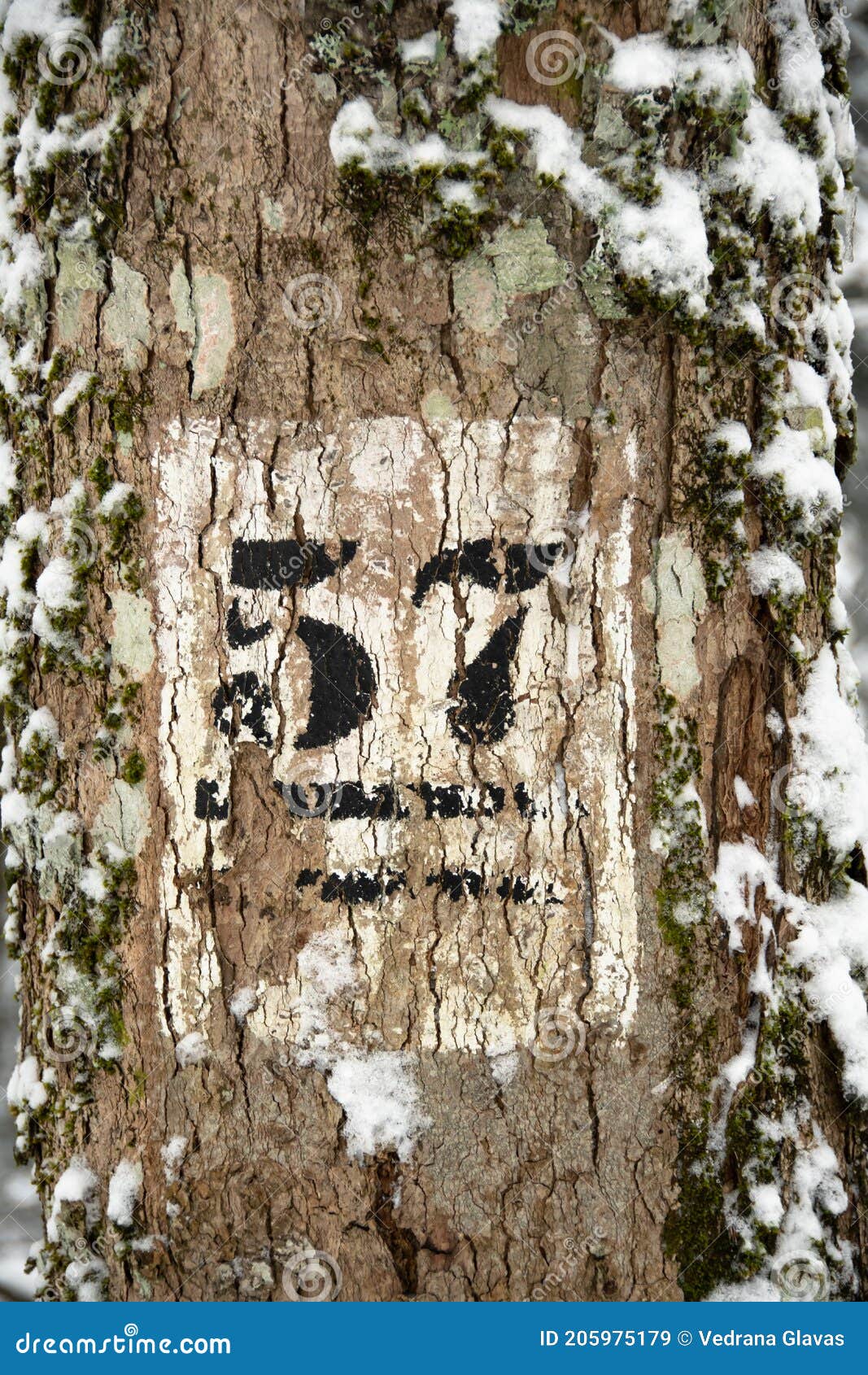 Black Number 57 and Two Parallel Lines Stock Image - Image of draw ...