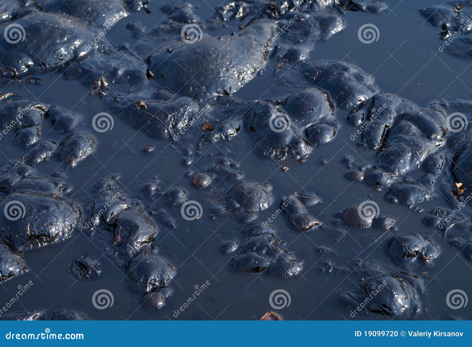 Black Oil Pollution 2 stock photo. Image of defilement - 19099720