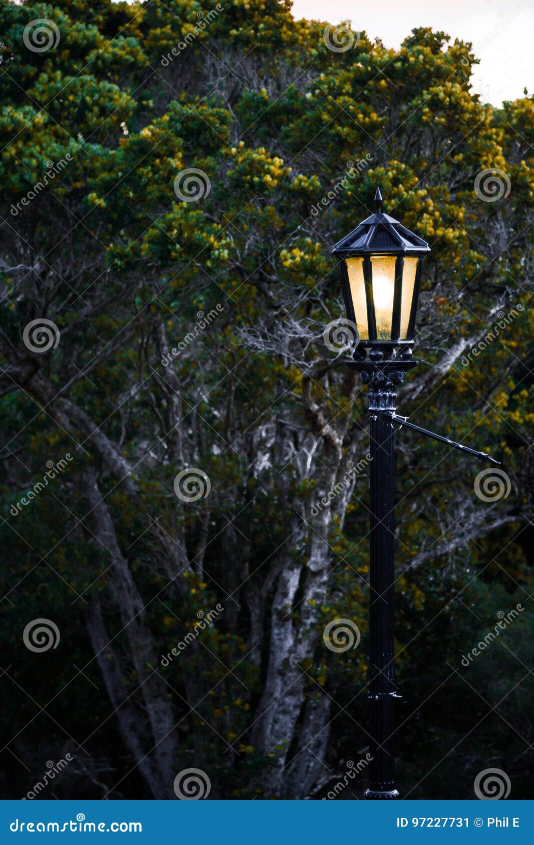Black Old Fashioned Lamp Post in Nature Stock Image - Image of classic ...