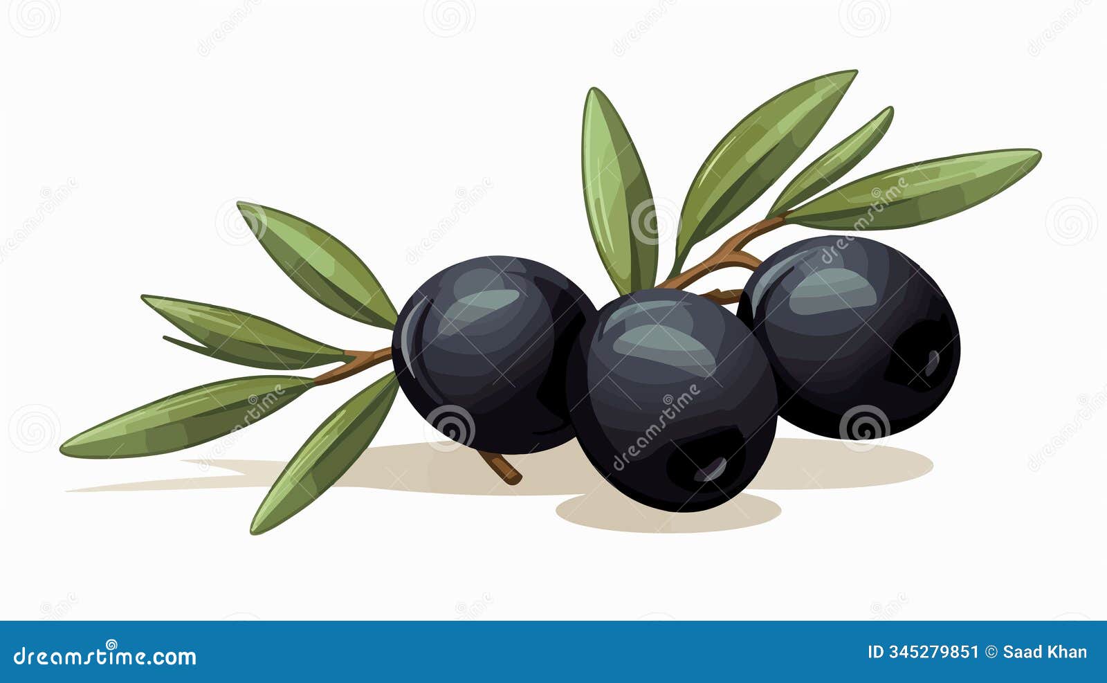 Black Olive Drawing stock vector. Illustration of vector - 345279851