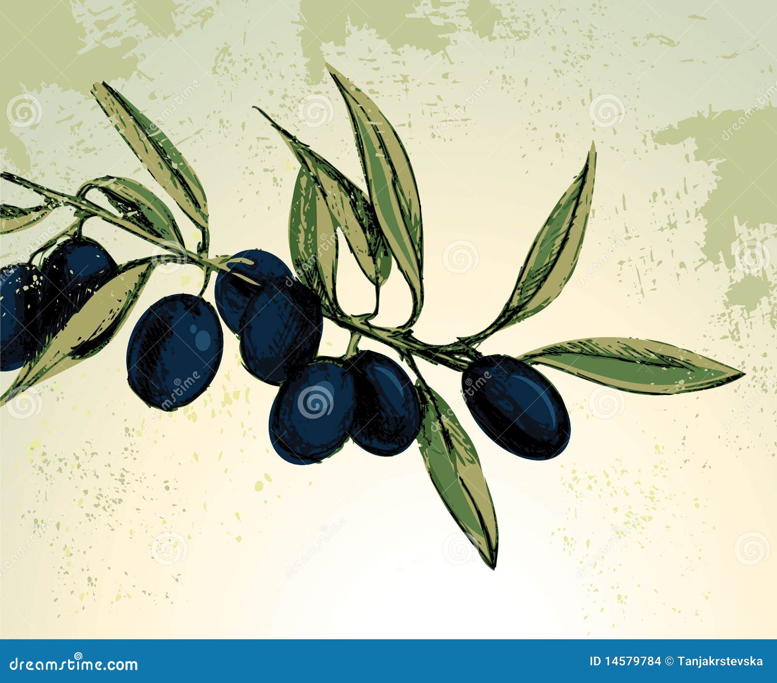 Black olives stock vector. Illustration of italy, label - 14579784